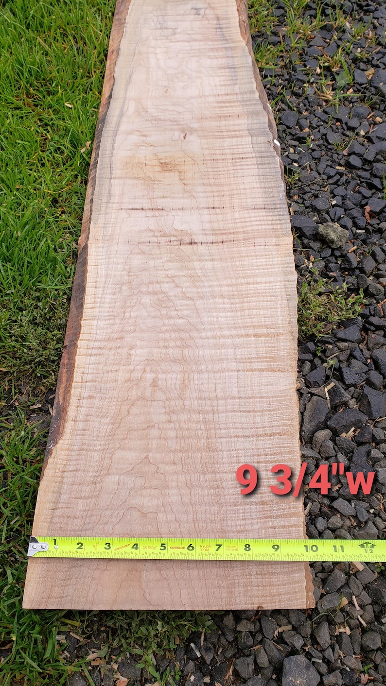 Curly Maple 1 Slab (B462) - Etsy