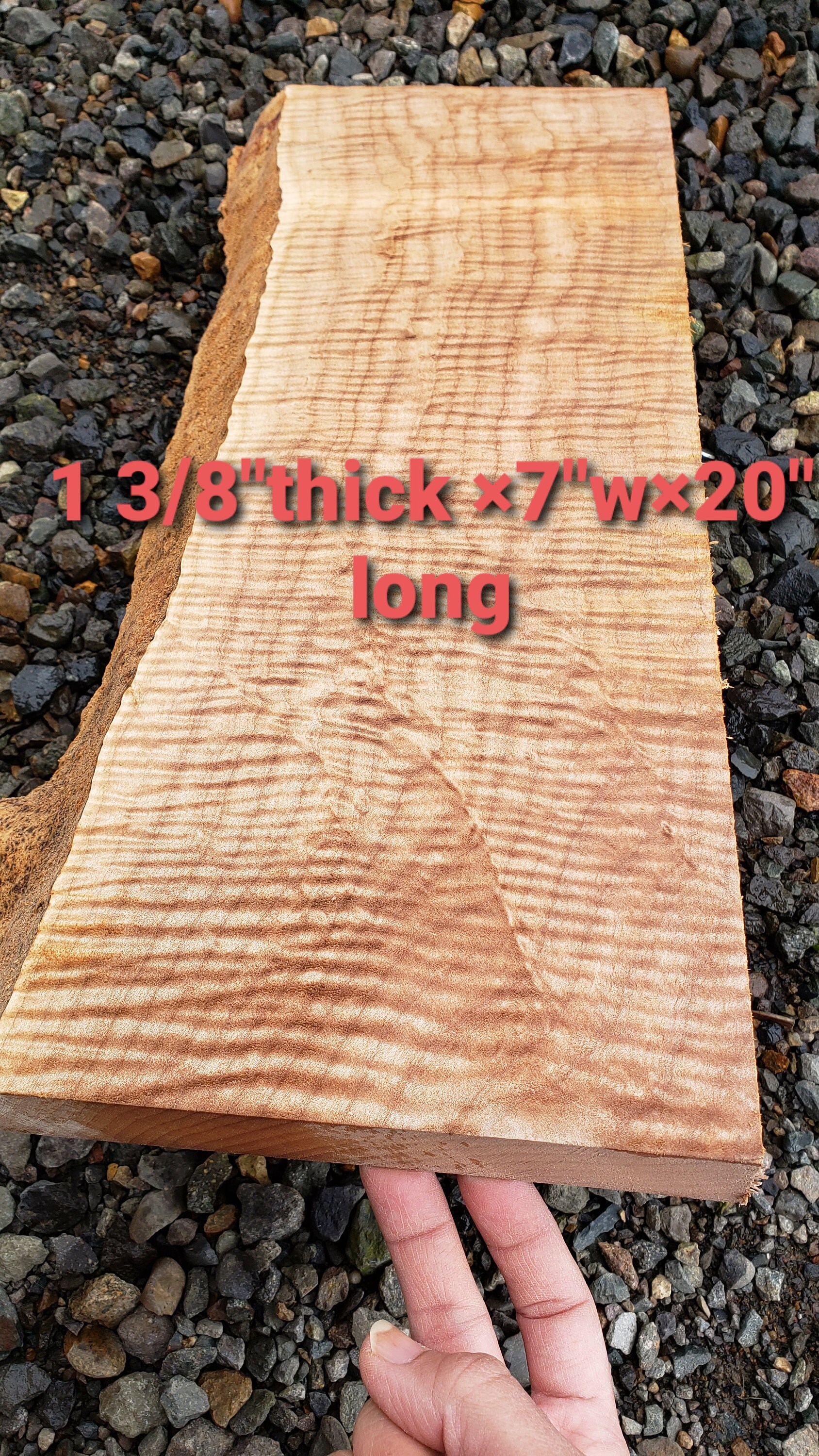 Curly Maple 1 Piece B364 - Etsy