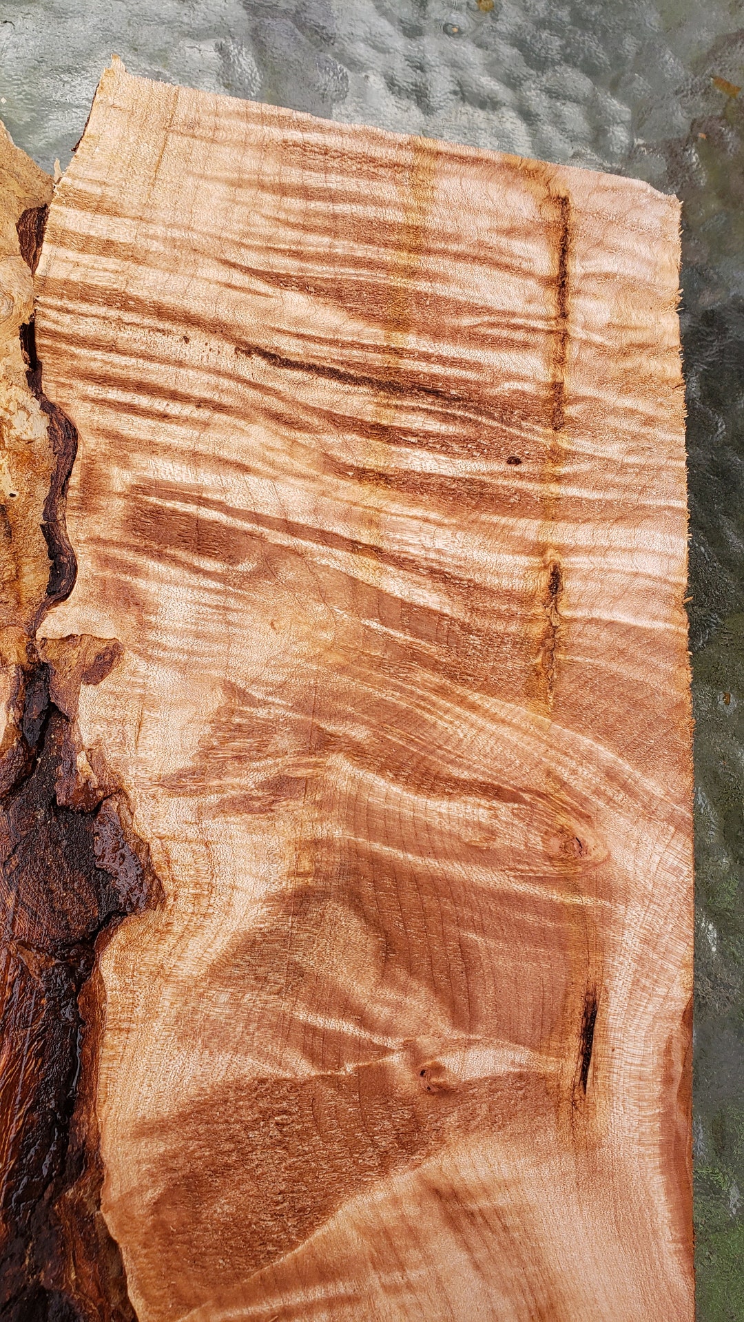 Curly Maple 1 Piece (B374) - Etsy