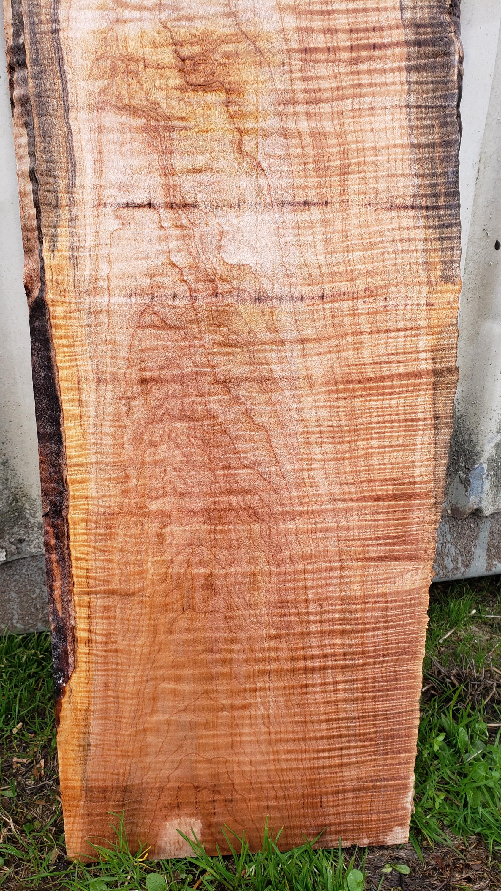 Curly Maple 1 Slab (B462) - Etsy