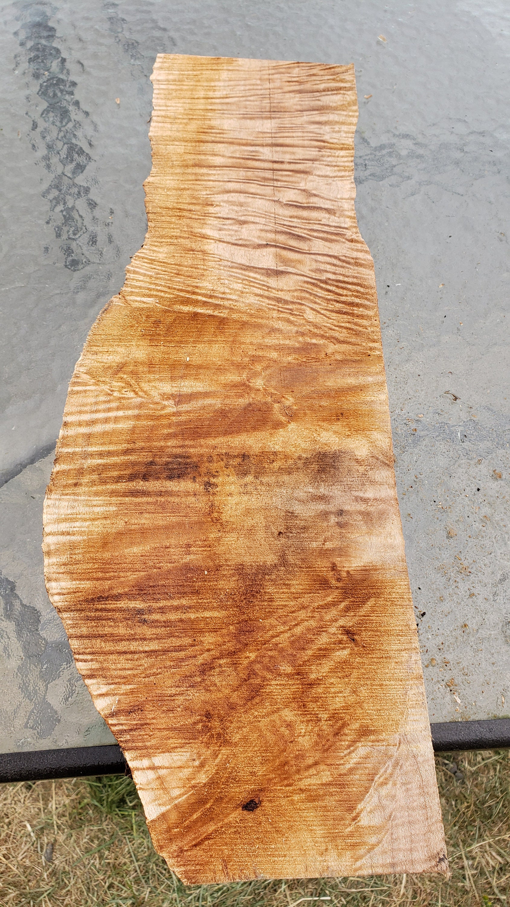Curly Maple 1 Piece (B431) - Etsy