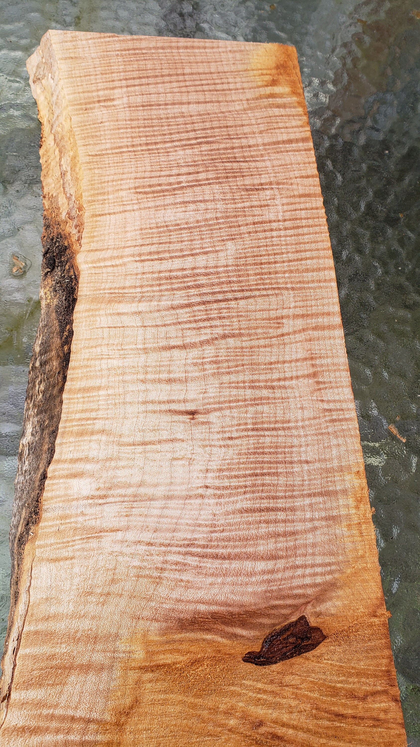 Curly Maple 1 Piece (B366) - Etsy