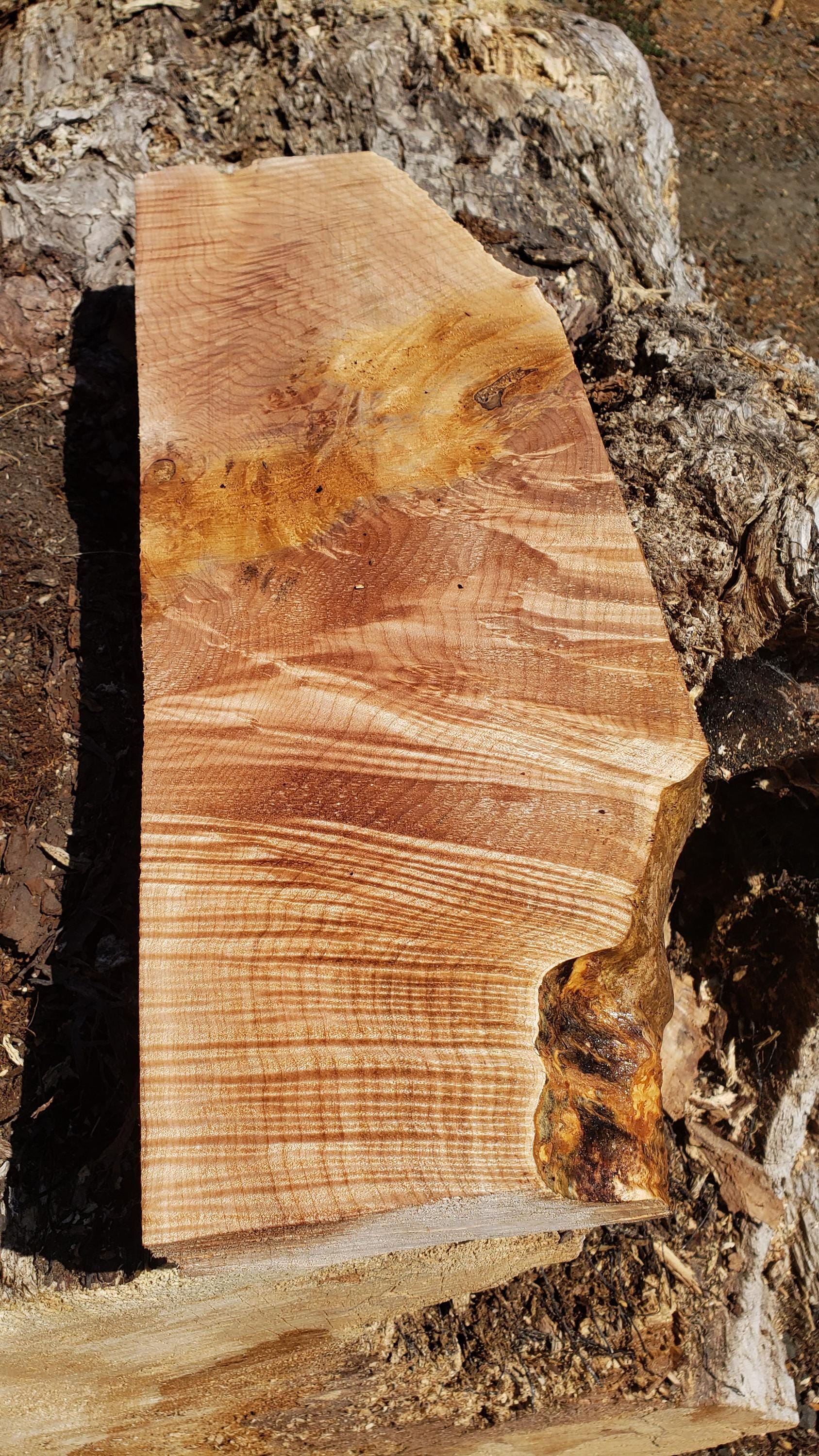Curly Maple 1 Piece (B453) - Etsy