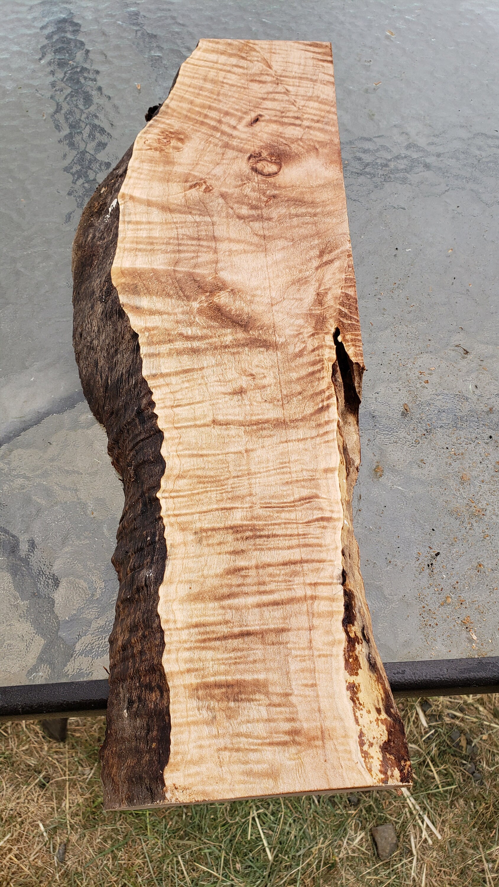 Curly Maple 1 Piece (B431) - Etsy