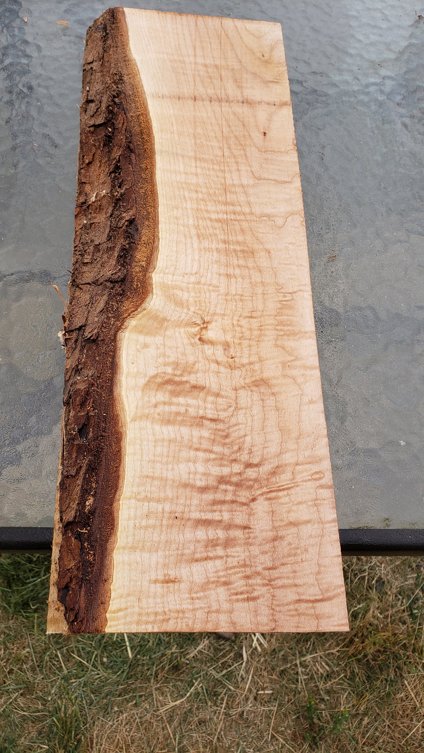 Curly Maple 1 Piece (B430) - Etsy