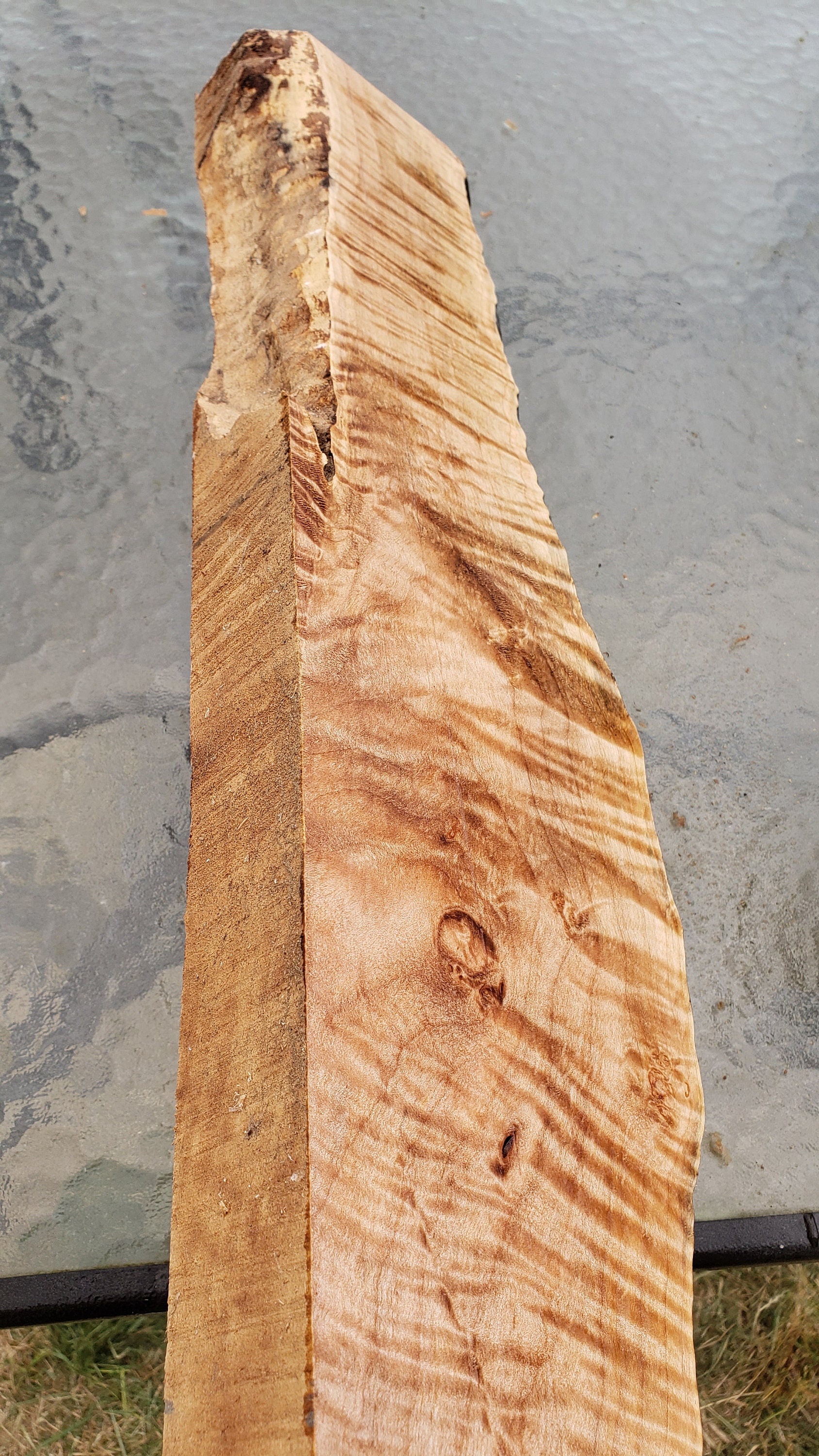 Curly Maple 1 Piece (B431) - Etsy