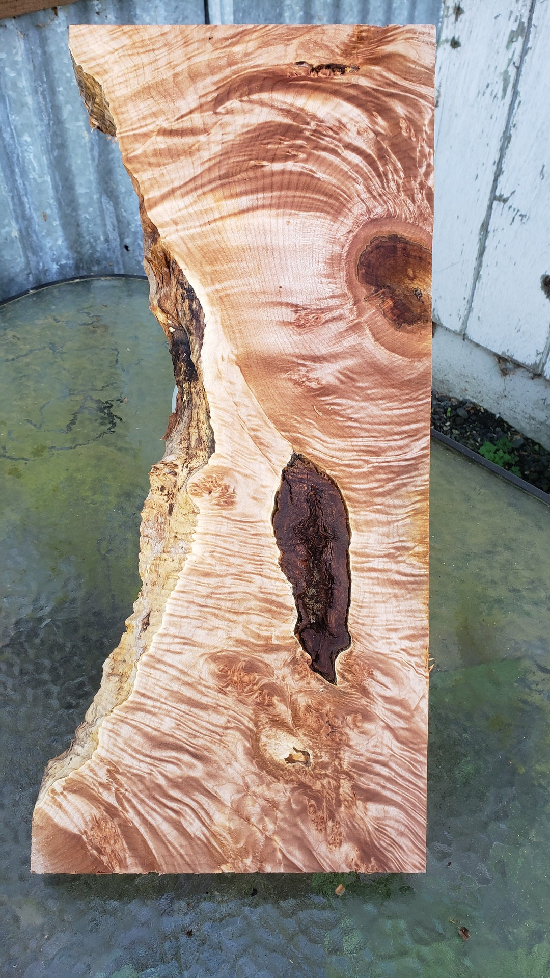 Maple Burl curly 1 Piece B392 - Etsy