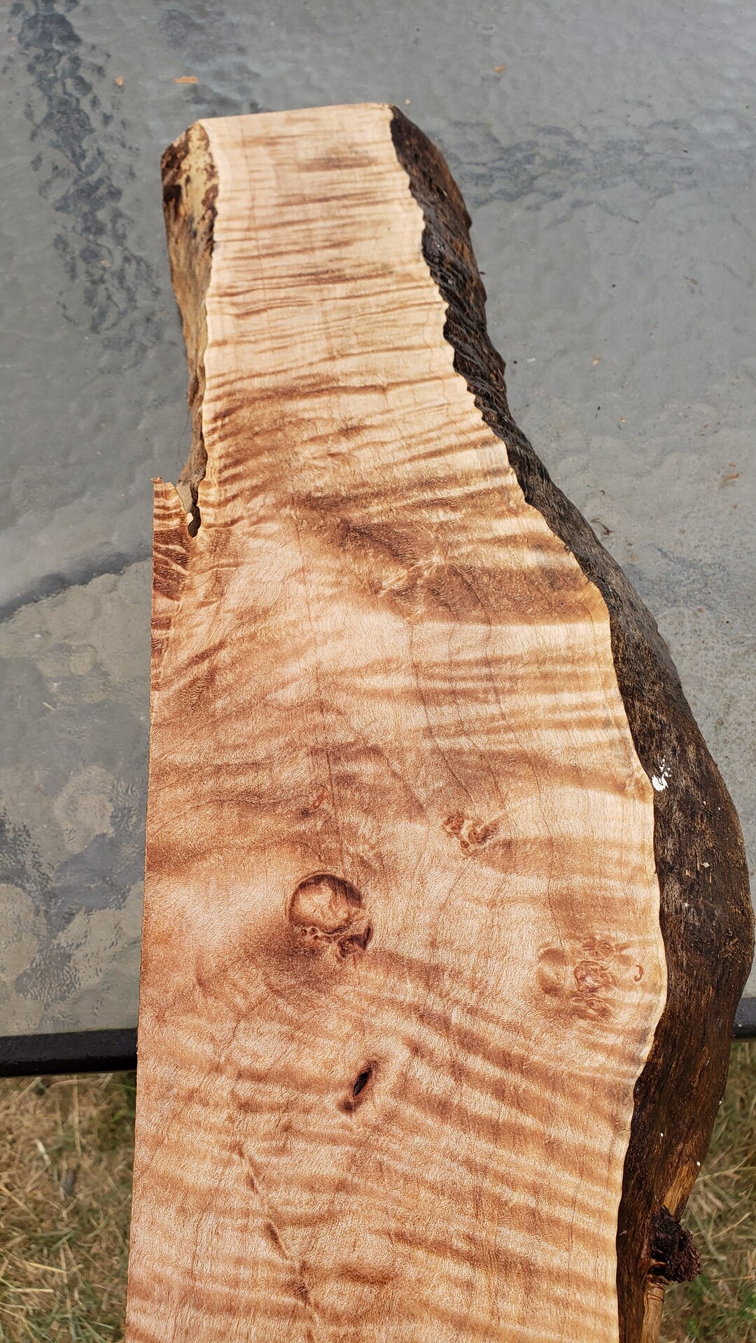 Curly Maple 1 Piece (B431) - Etsy