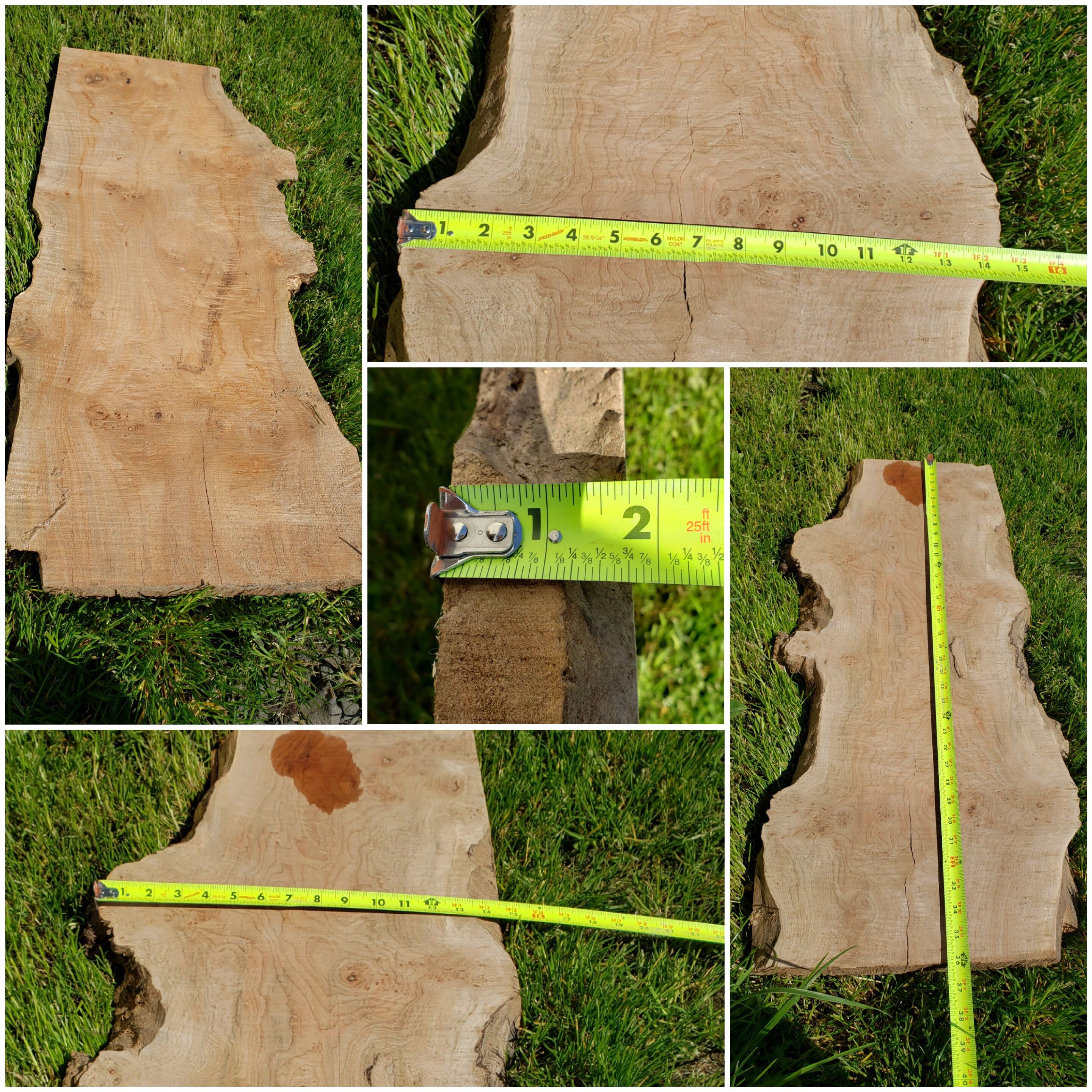 Curly Maple Burl 1 Slab B407 - Etsy