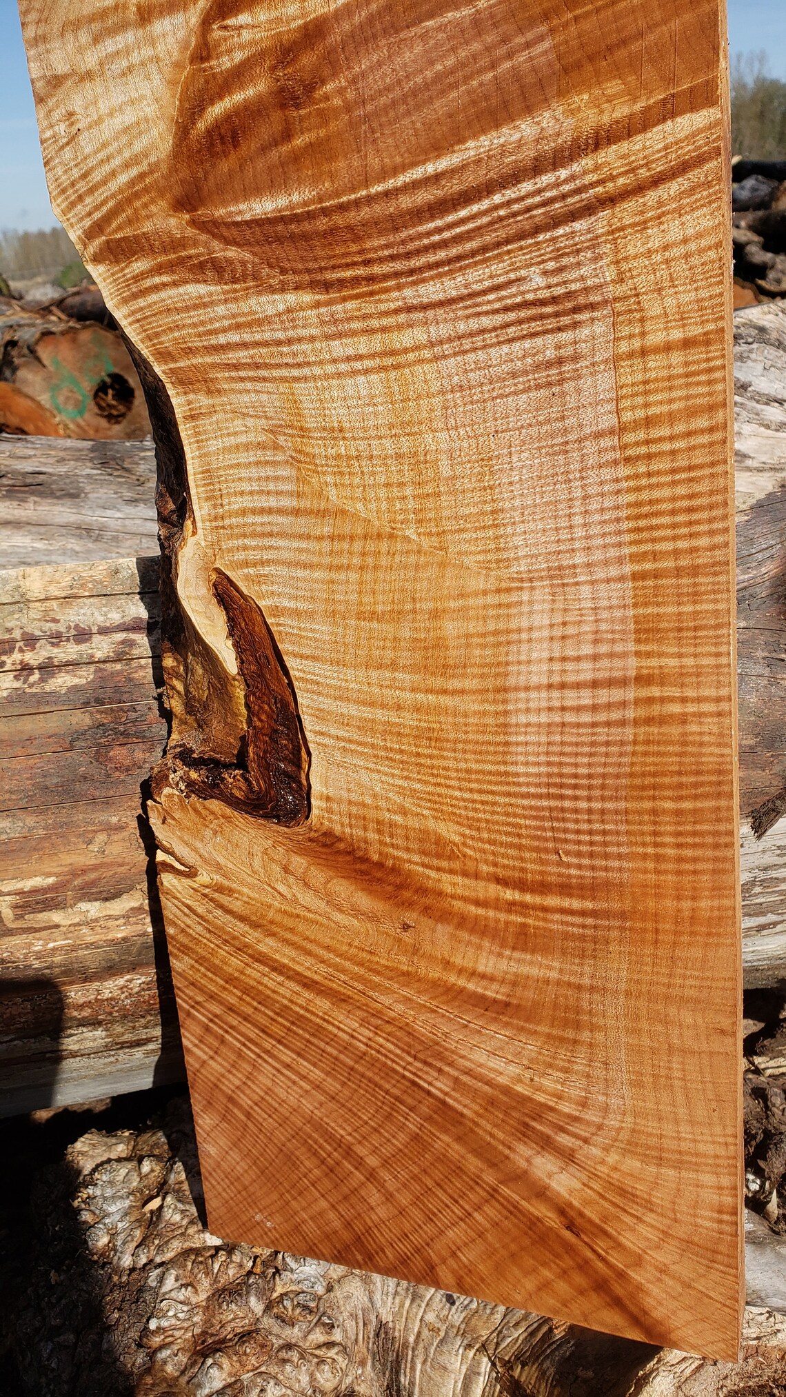Curly Maple 1 Piece B388 - Etsy