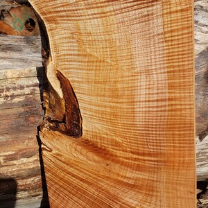 Curly Maple 1 Piece (B388) - Etsy