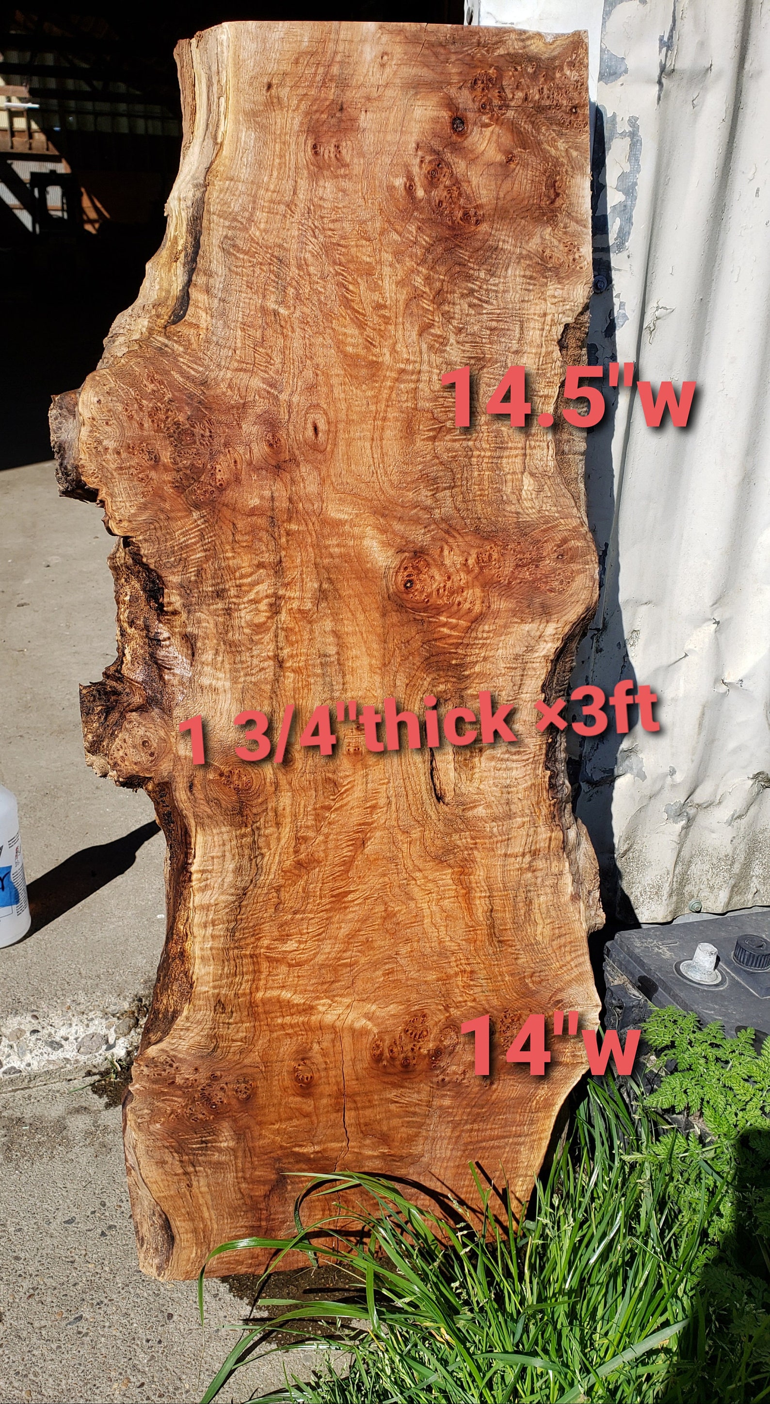 Curly Maple Burl 1 Slab B407 - Etsy