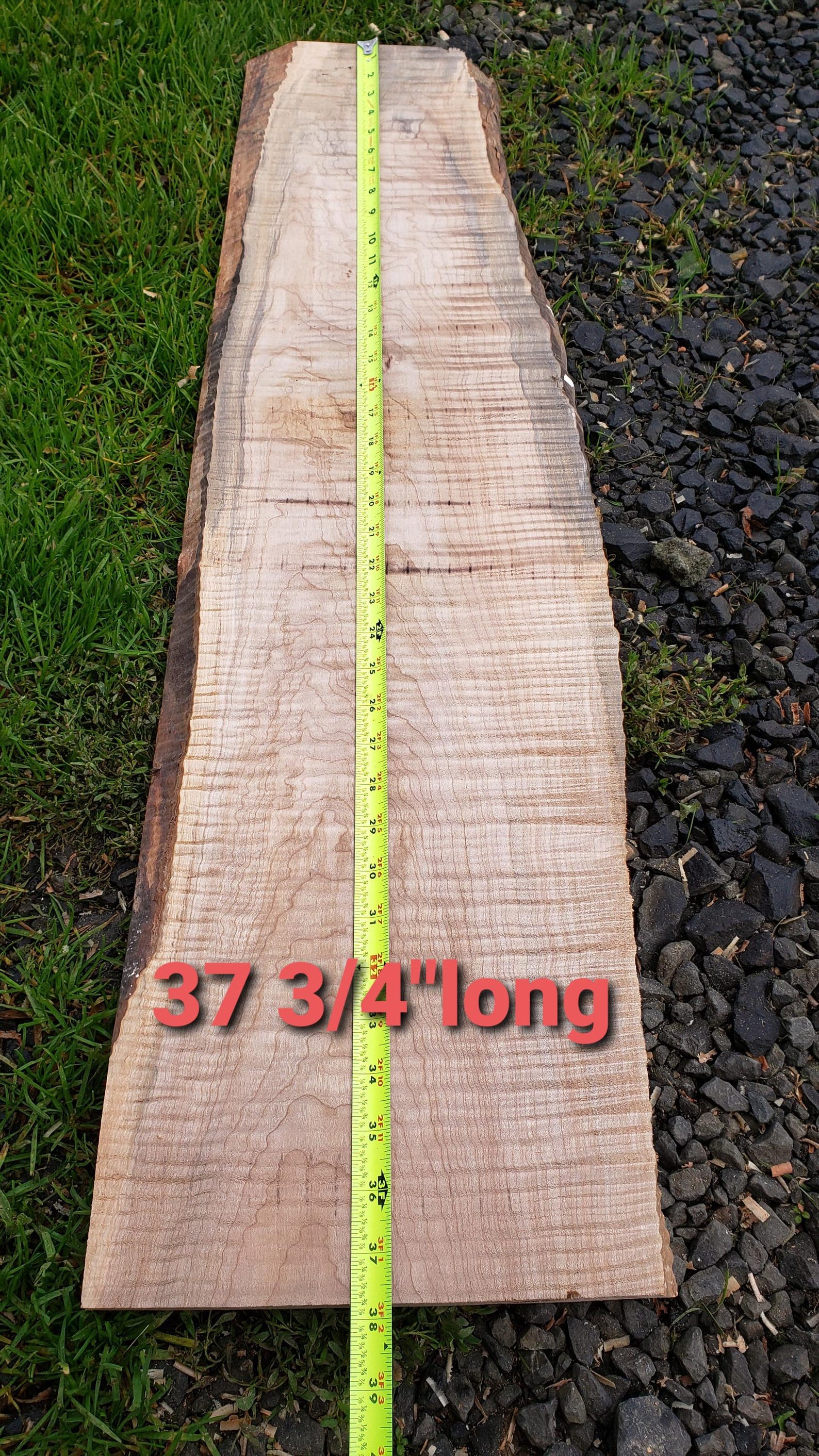 Curly Maple 1 Slab (B462) - Etsy