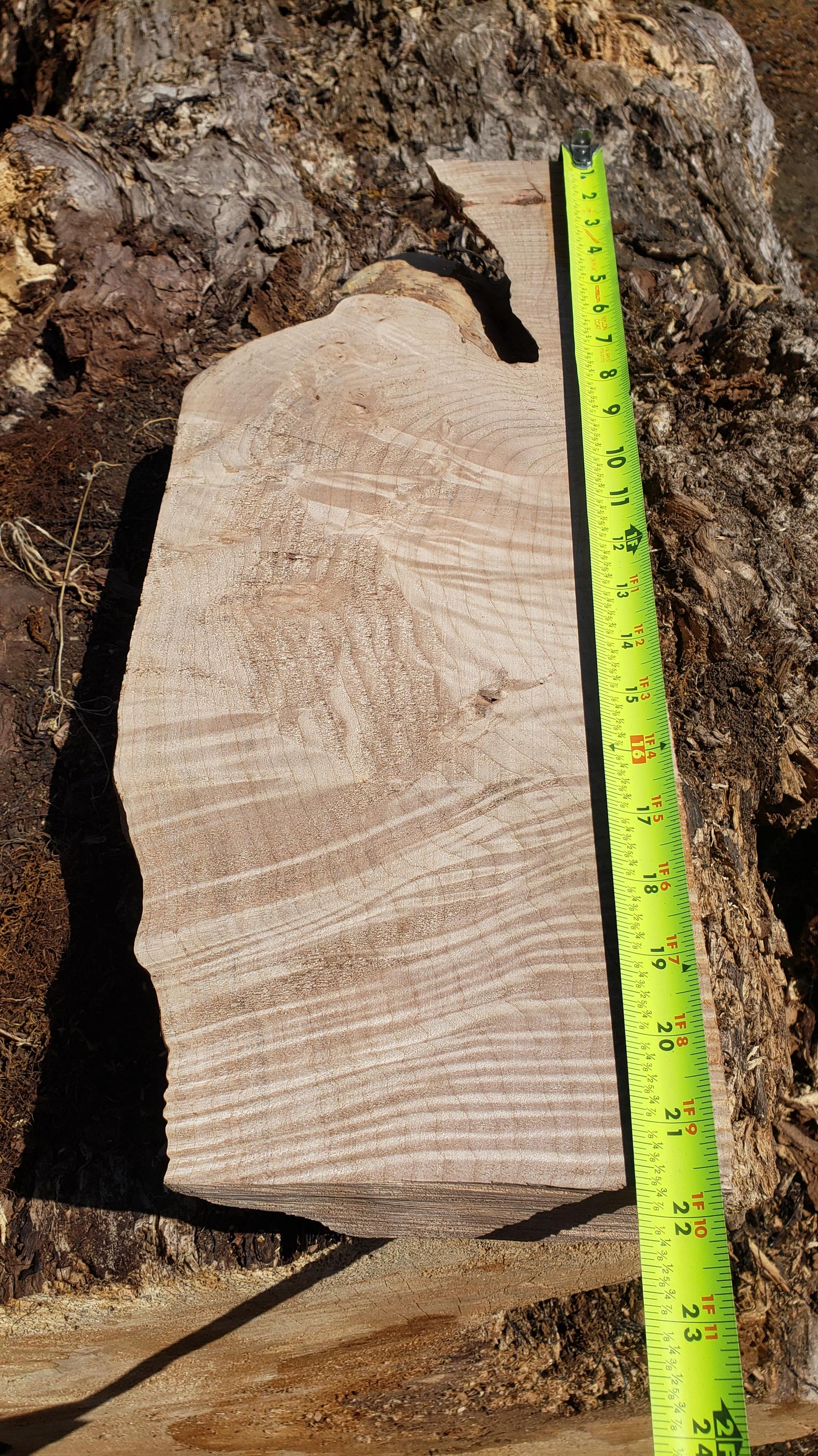 Curly Maple 1 Piece (B453) - Etsy