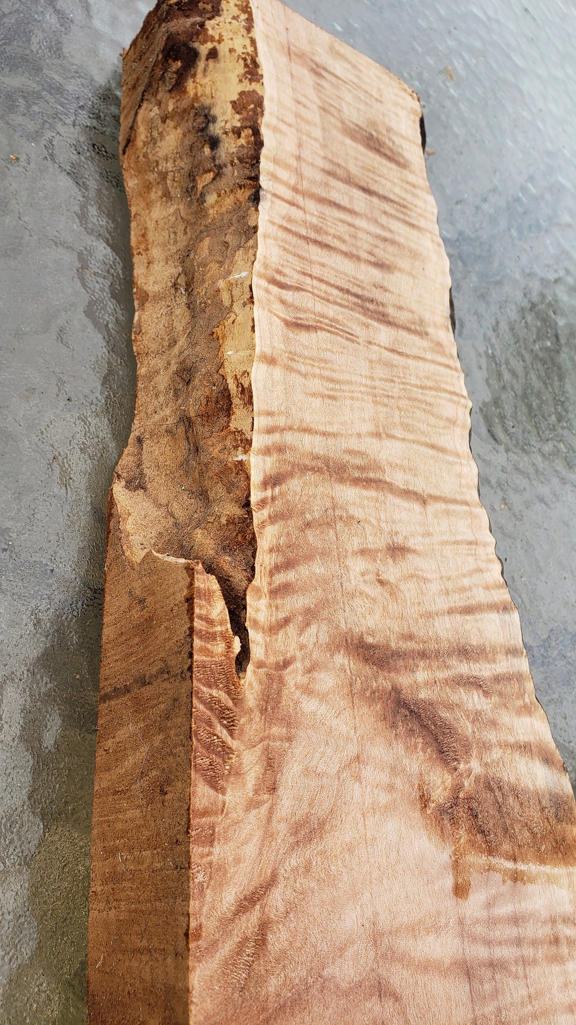 Curly Maple 1 Piece (B431) - Etsy