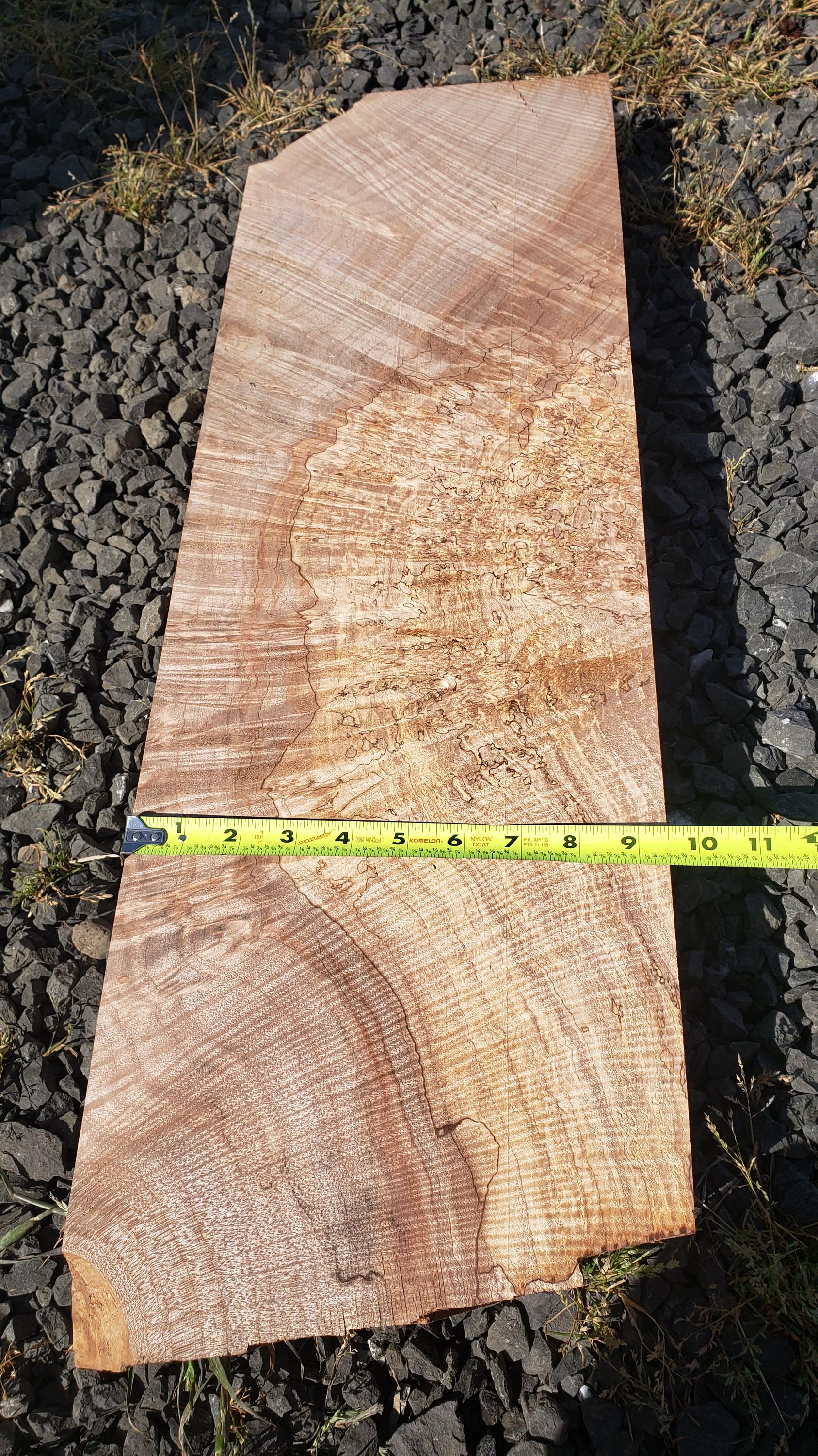 Curly Maple Burl+spalted Stump..silver Maple (B483) - Etsy