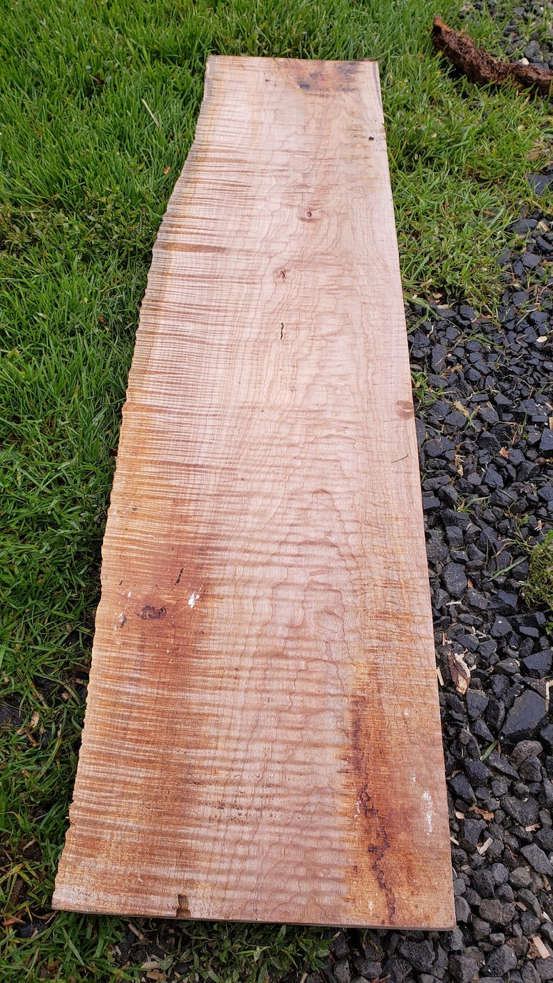 Curly Maple 1 Slab (B462) - Etsy