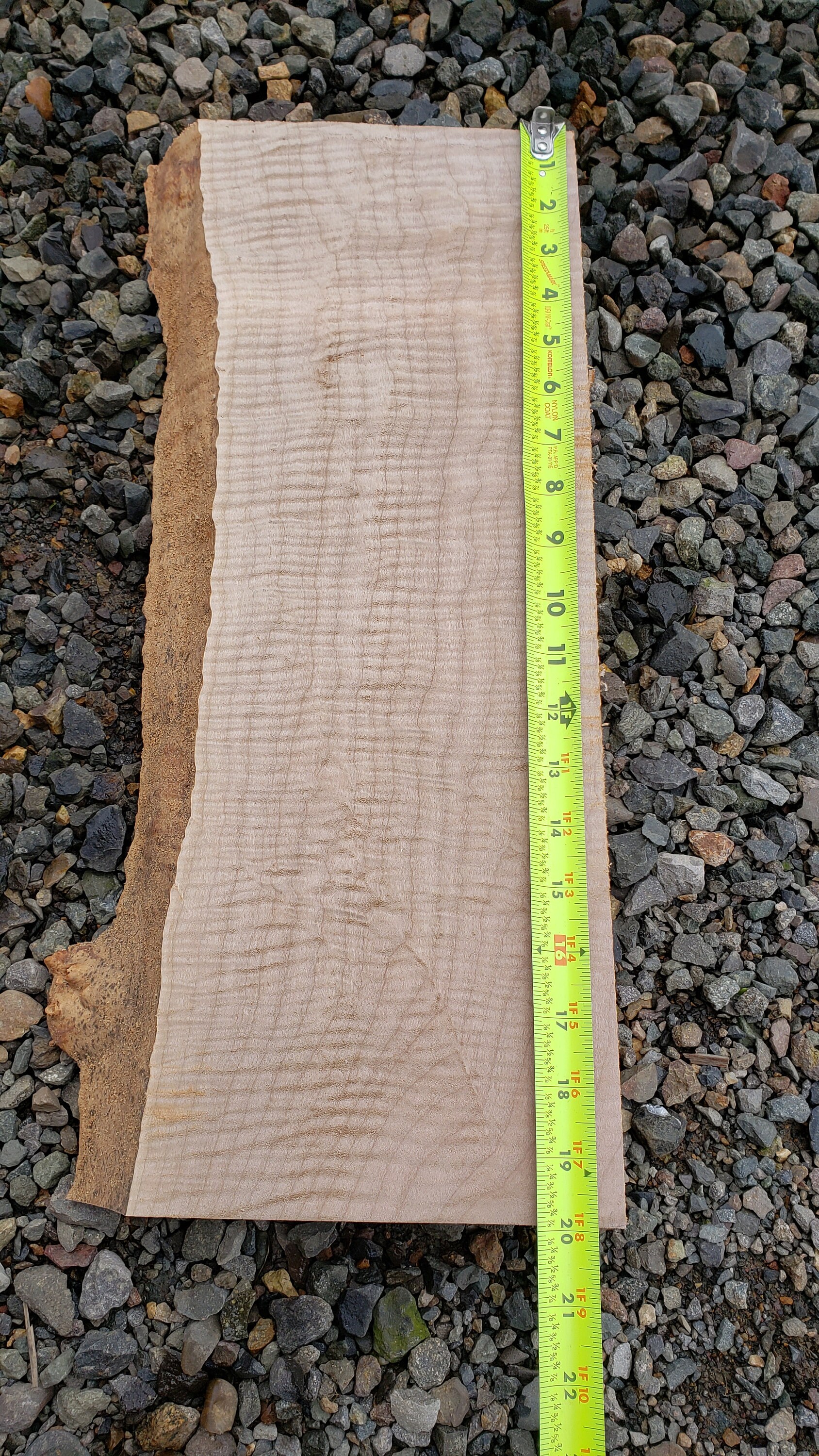 Curly Maple 1 Piece B364 - Etsy