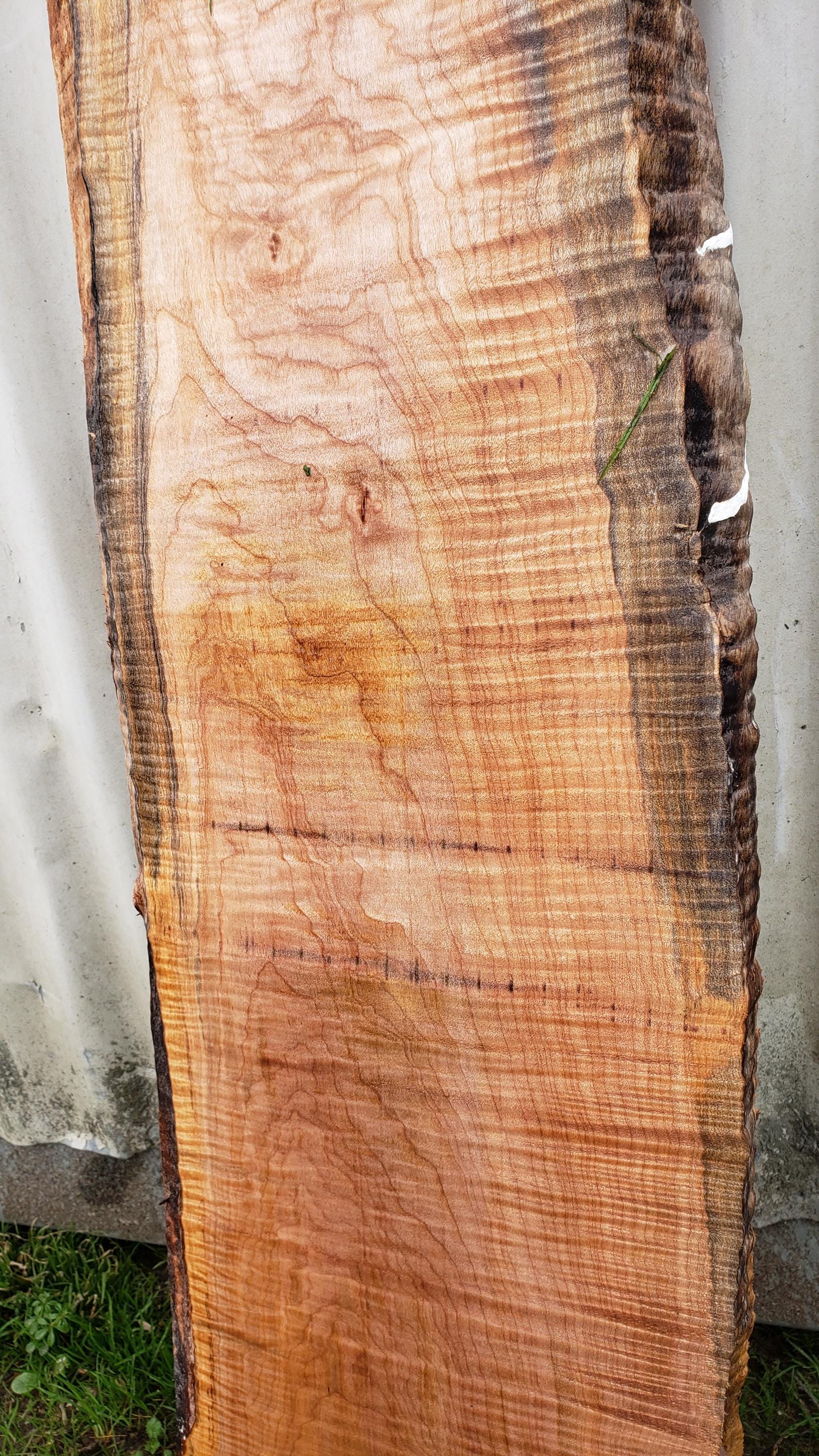 Curly Maple 1 Slab (B462) - Etsy