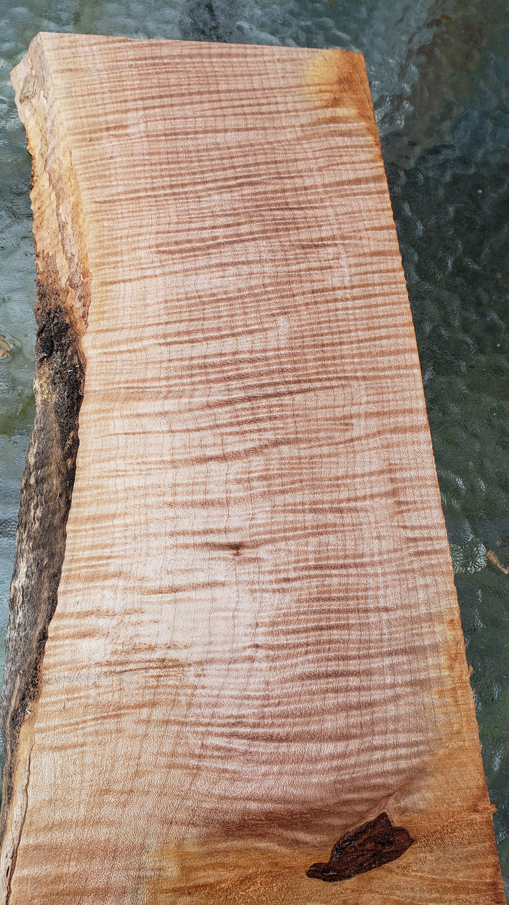 Curly Maple 1 Piece (B366) - Etsy