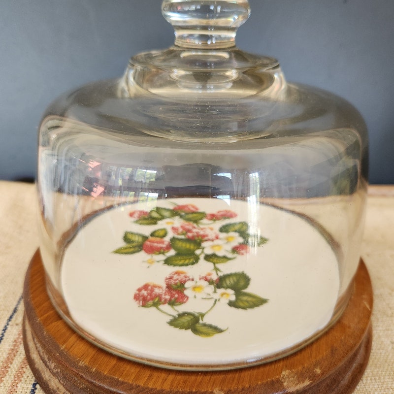 Cheese Cloche - Etsy