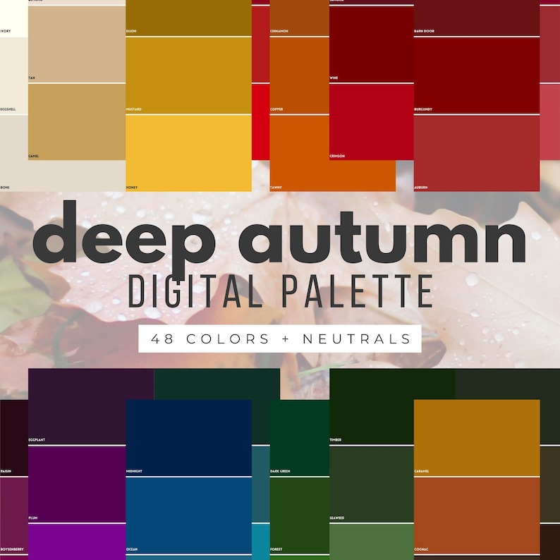 Deep Autumn Color Palette: 48 Colors + Neutrals (digital Swatch Fan) - Etsy