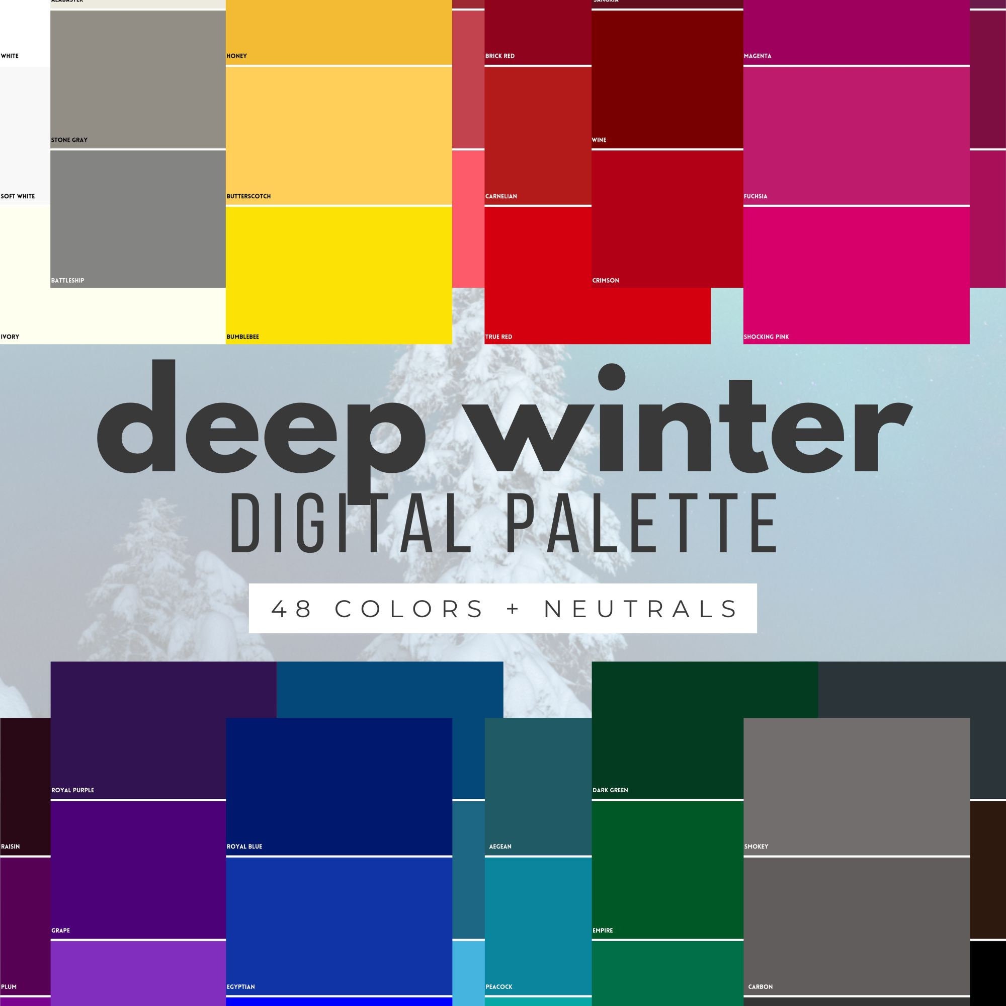 Deep Winter Color Palette: 48 Colors + Neutrals (digital Swatch Fan) - Etsy