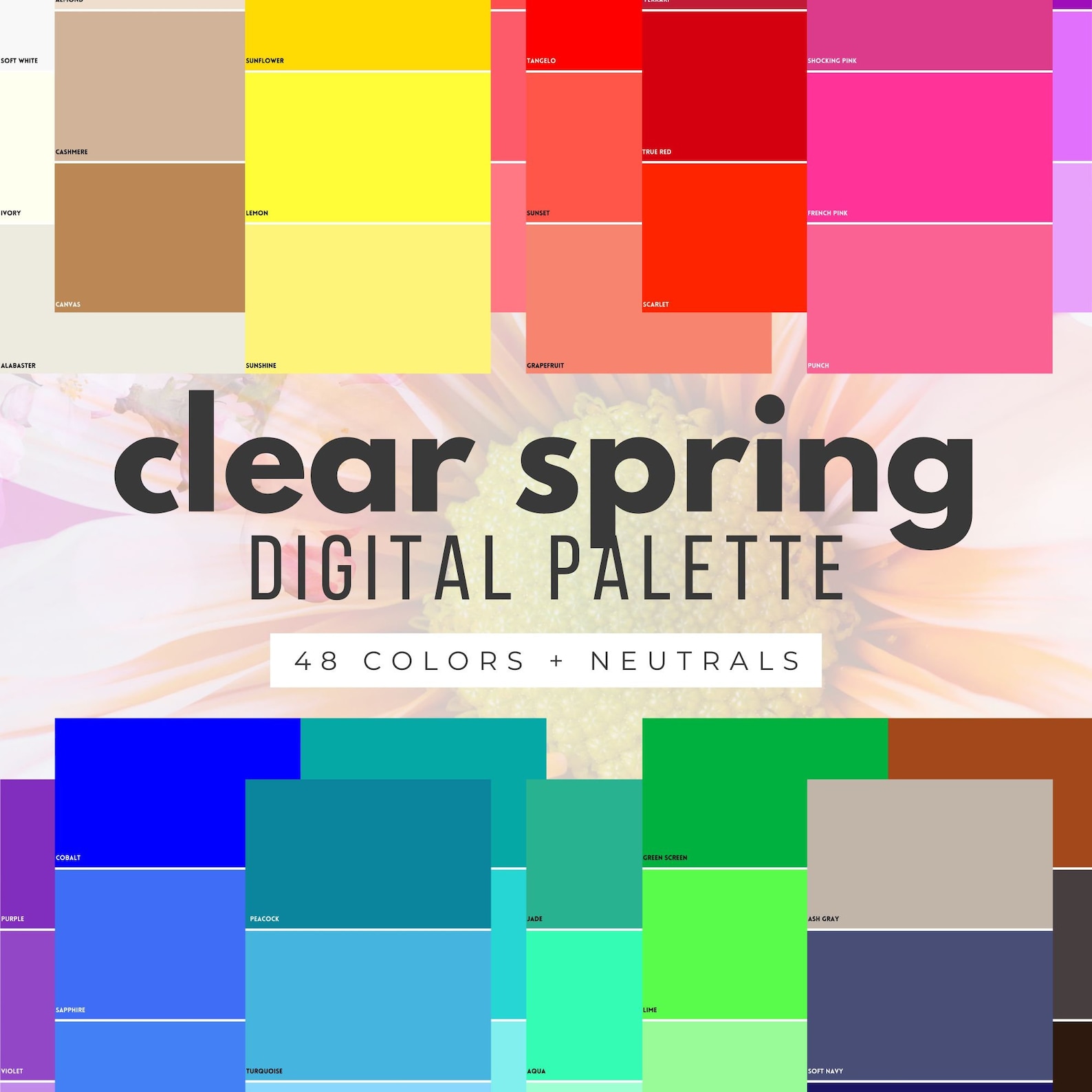 Clear Spring Color Palette: 48 Colors + Neutrals (digital Swatch Fan ...