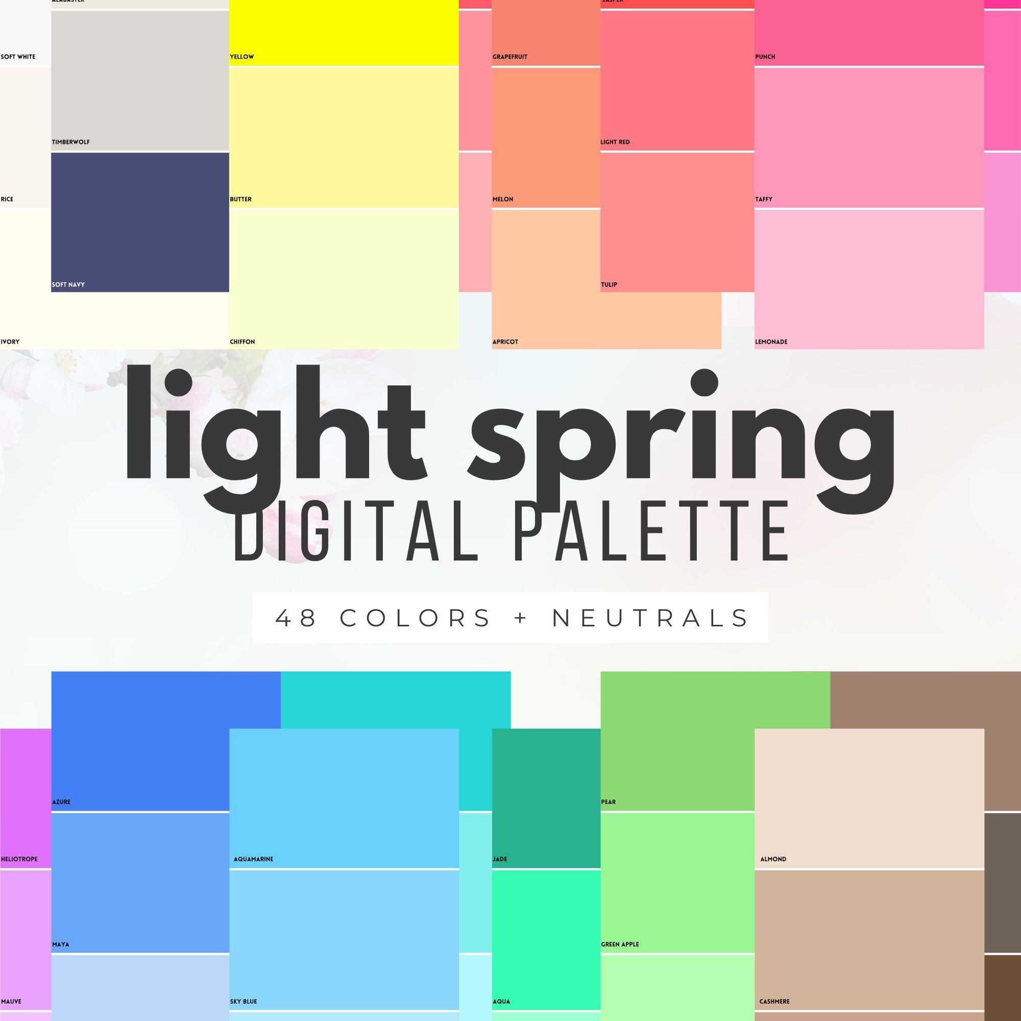 Light Spring Color Palette: 48 Colors + Neutrals (digital Swatch Fan ...