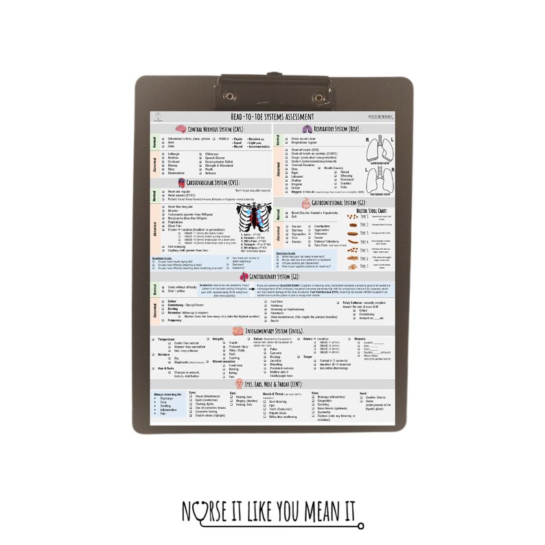 Clipboard: Head-to-toe Assessment - Etsy