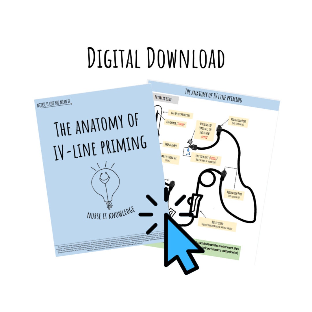 Anatomy of Iv-line Priming - Etsy