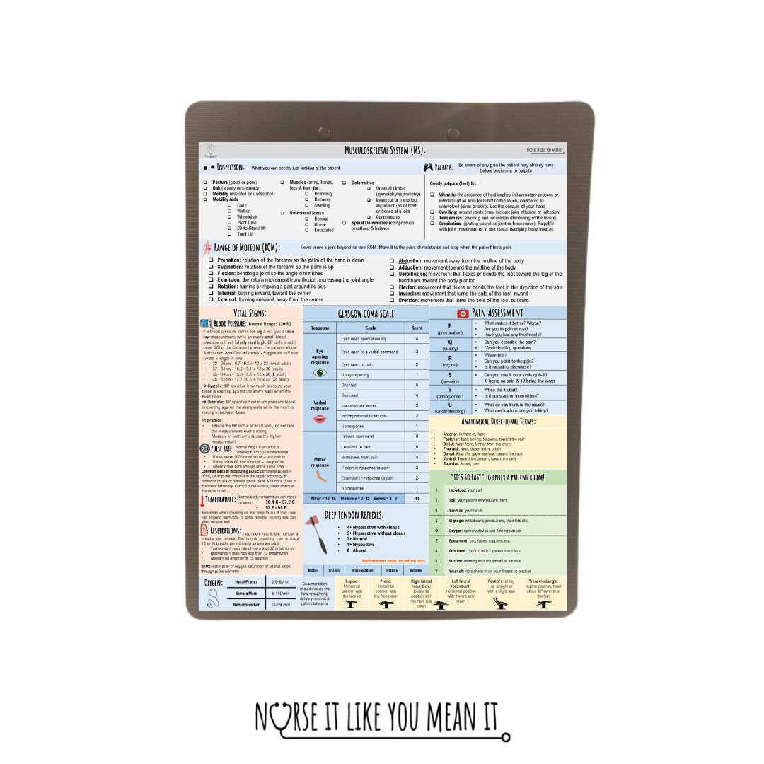 Clipboard: Head-to-toe Assessment - Etsy