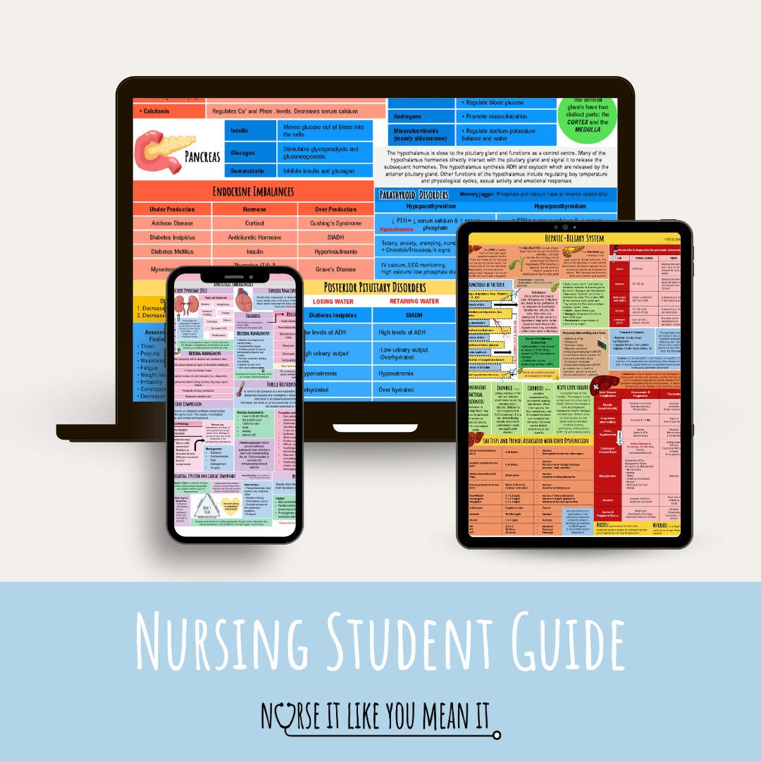 Nursing Student Guide *digital Download - Etsy