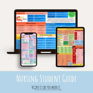 Nursing Student Guide *digital Download - Etsy