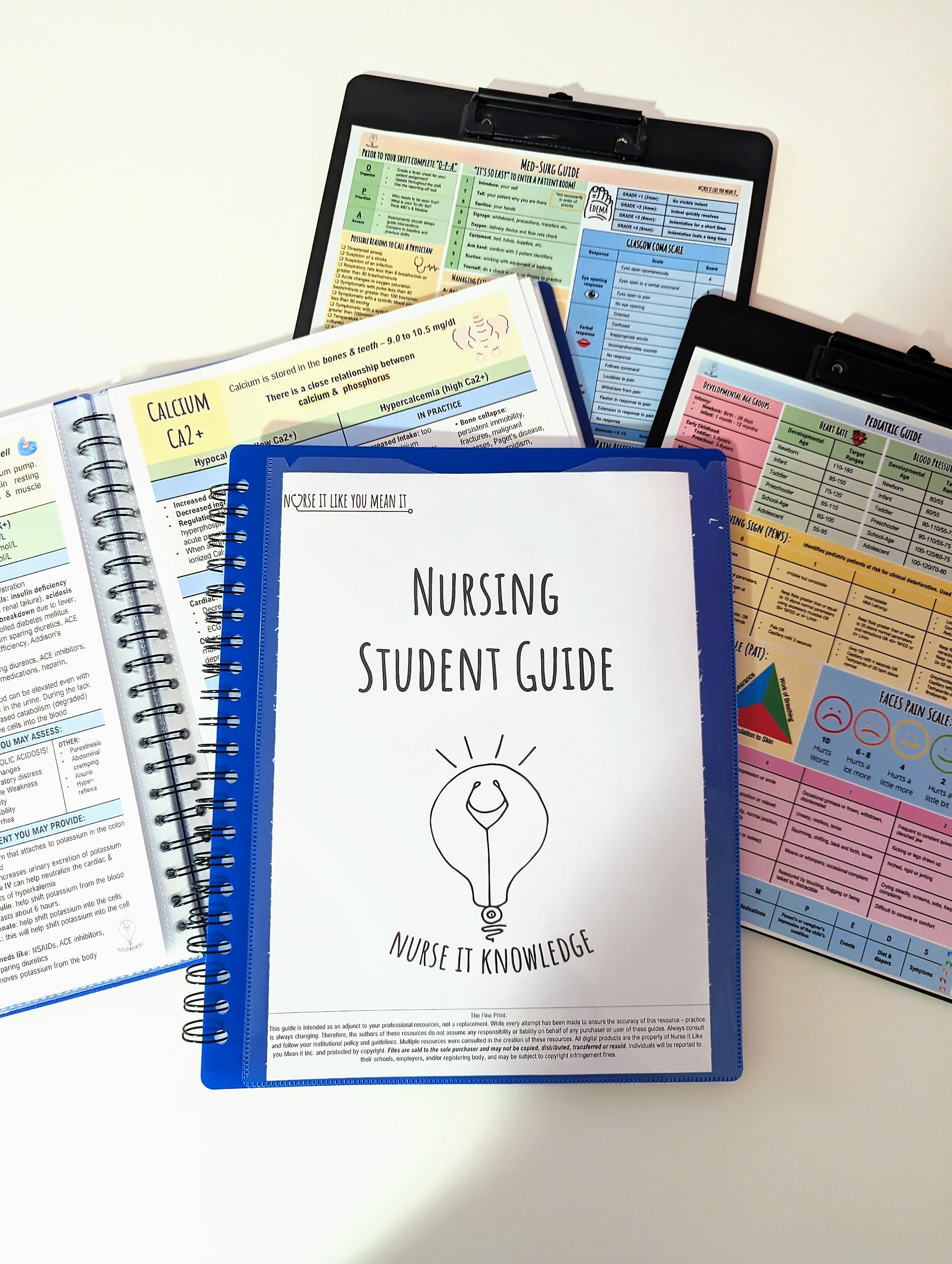 Nursing Student Guide *digital Download - Etsy