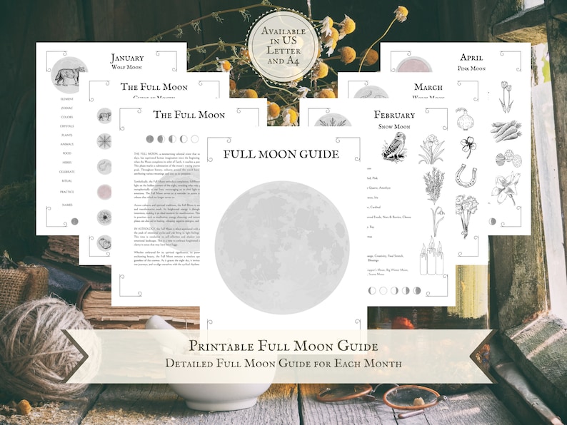 Full Moon Guide Printable: Monthly Correspondences, Beginner Witch (PDF ...