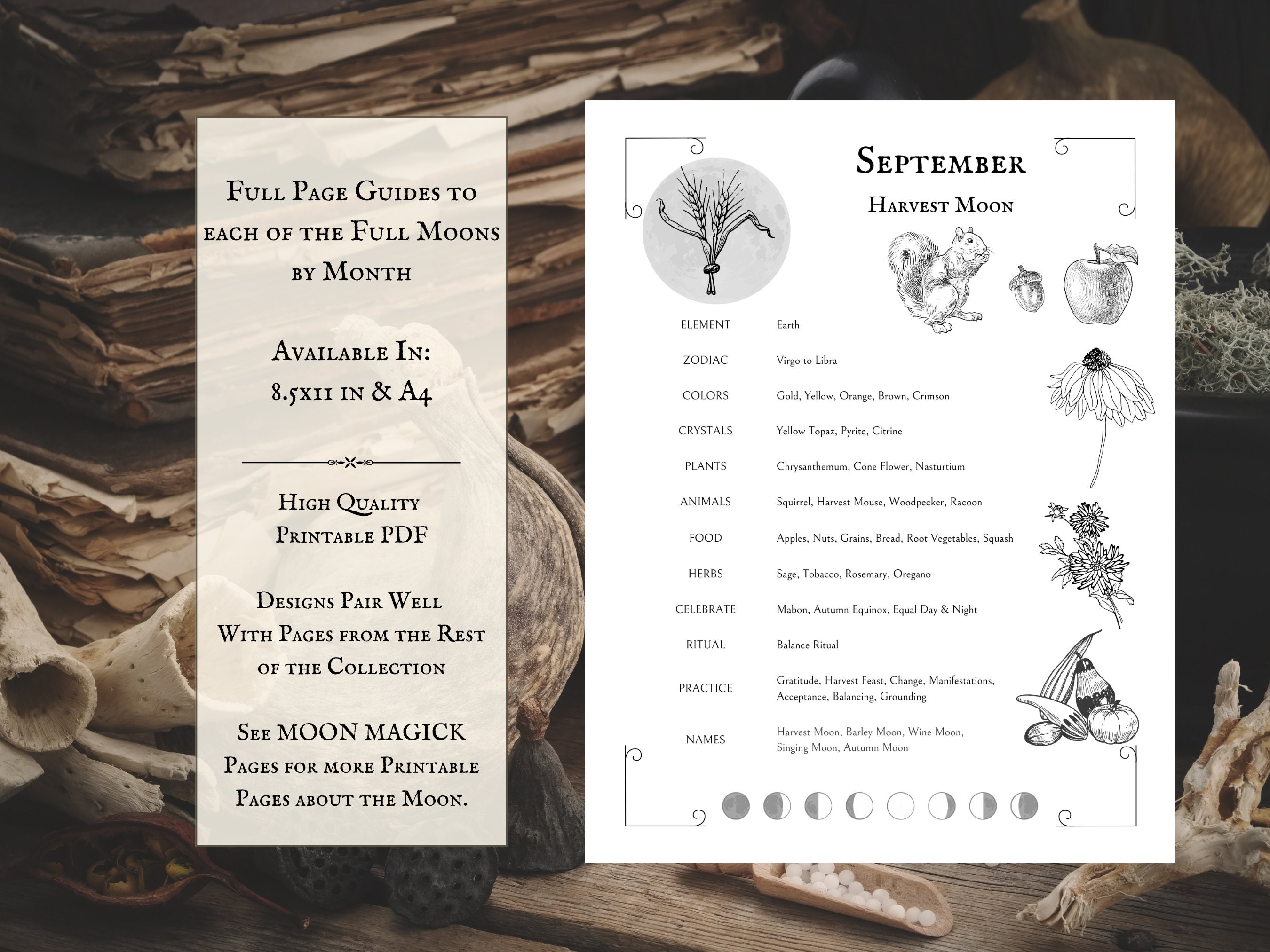 Full Moon Guide Printable: Monthly Correspondences, Beginner Witch (PDF ...