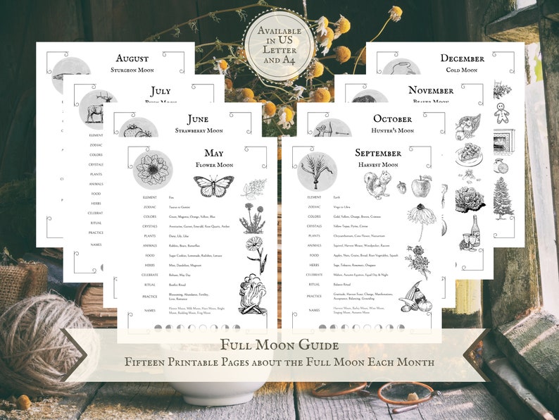 Full Moon Guide Printable: Monthly Correspondences, Beginner Witch (PDF ...