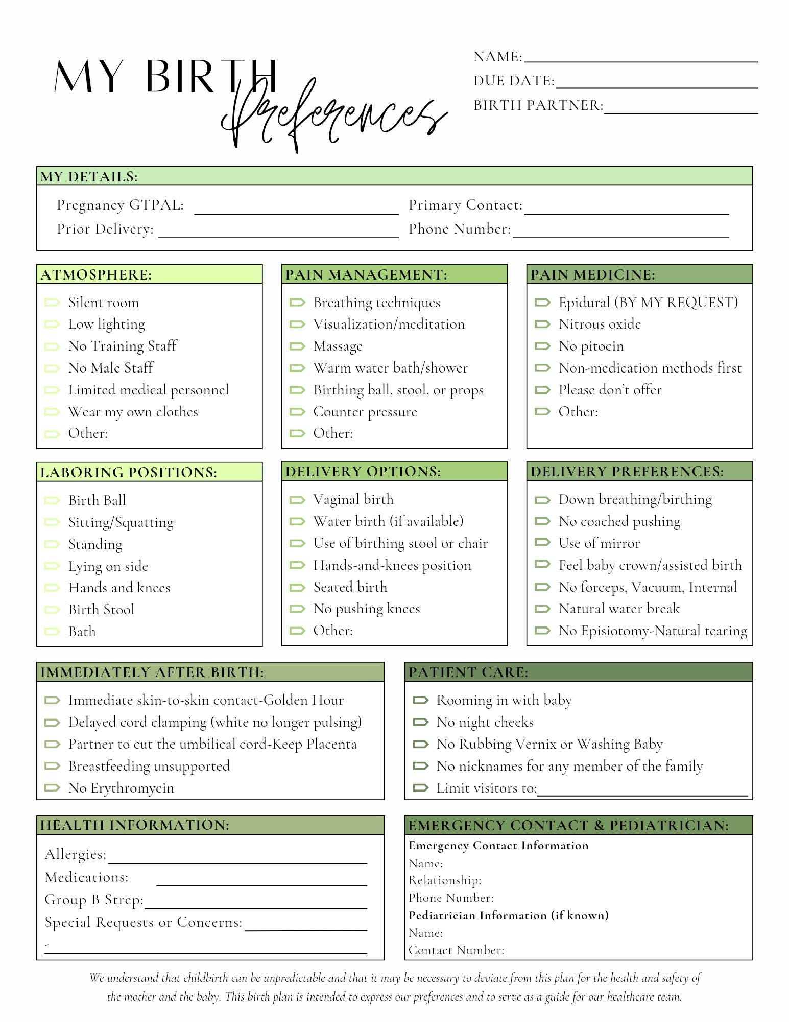Birth Plan Customizable Digital Template - Etsy