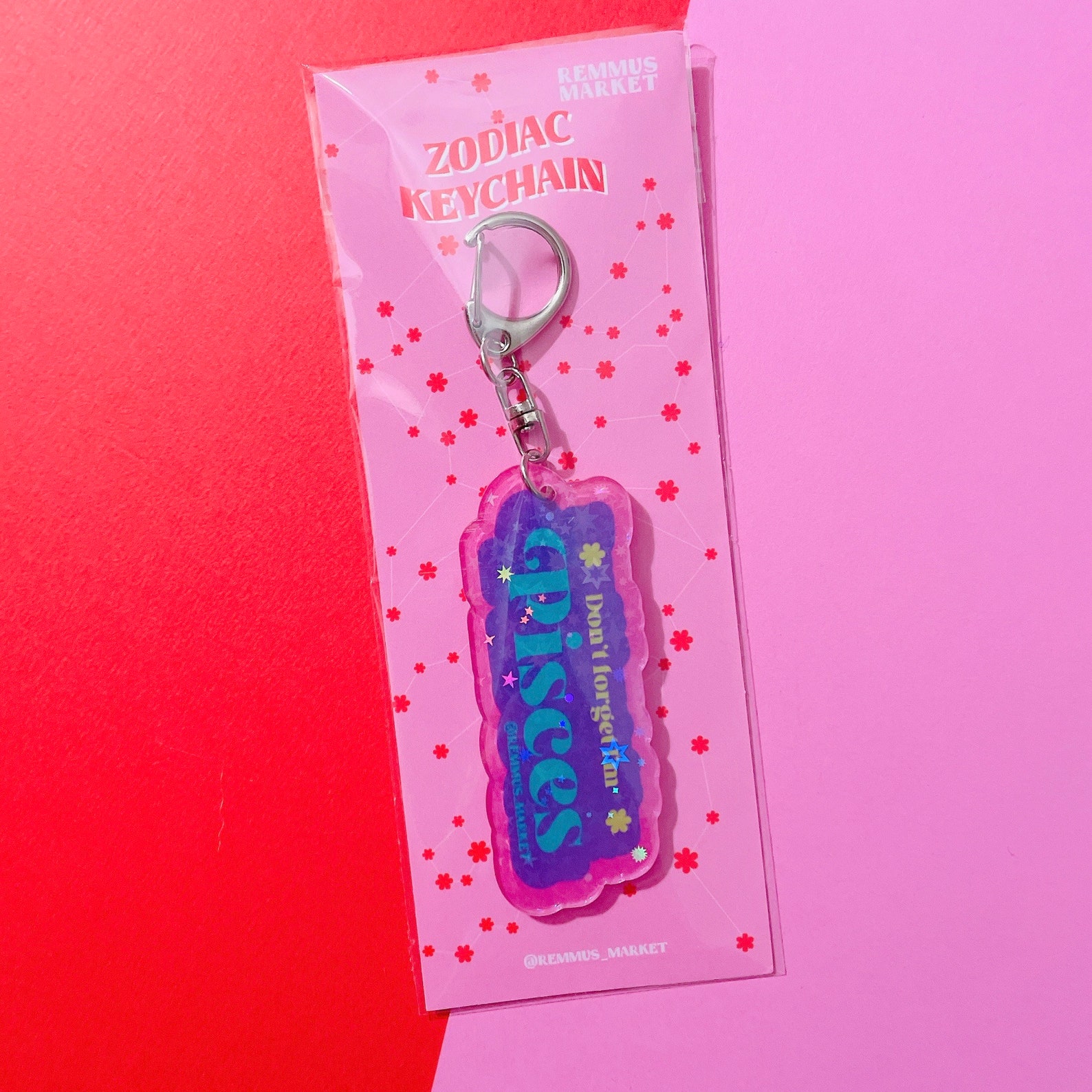 Fun Zodiac Keychain | Aries Keychain | Pisces Keychain | Aquarius ...