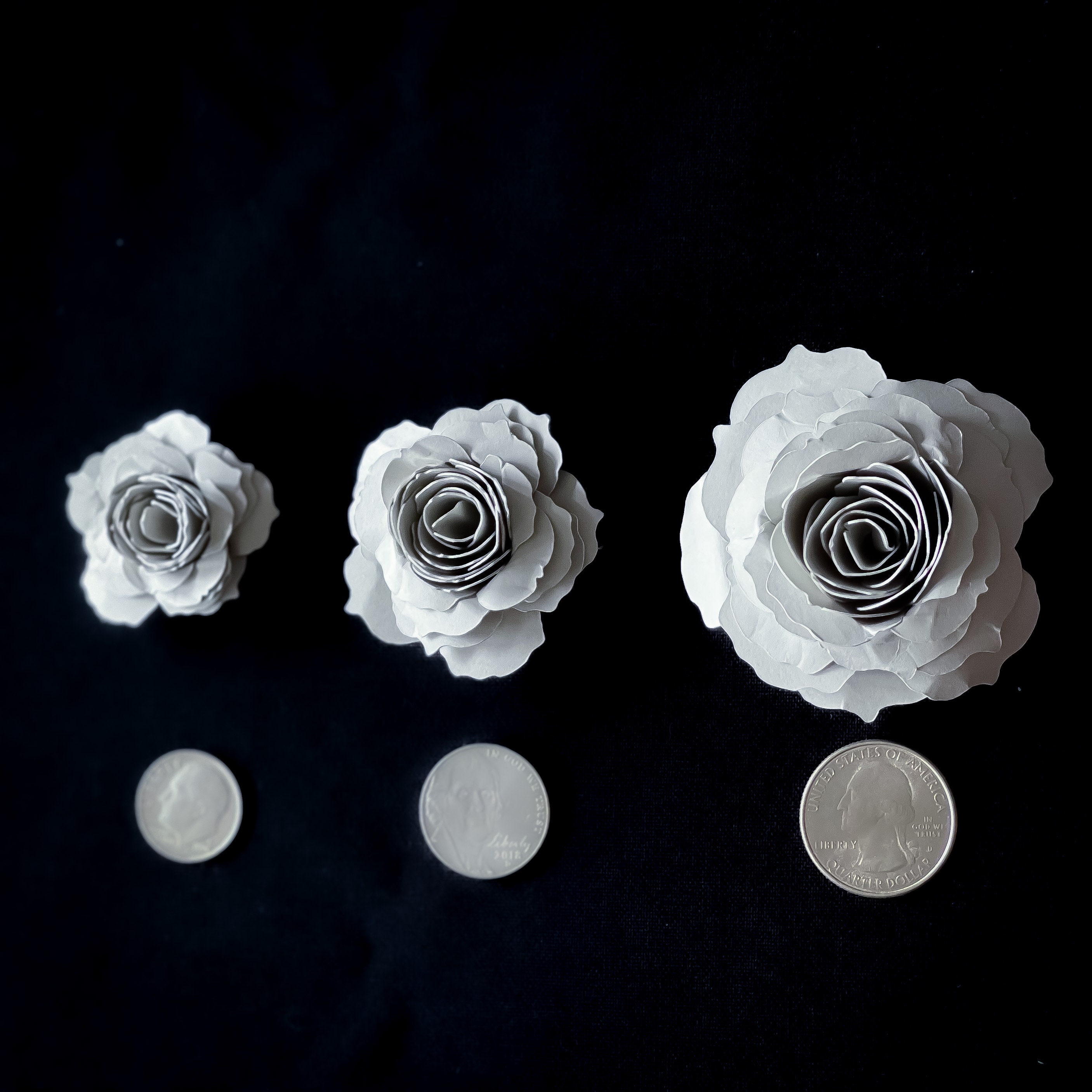 Rolled Flower Svg, High Quality 3D Paper Rose Cut File, DIY Flower ...