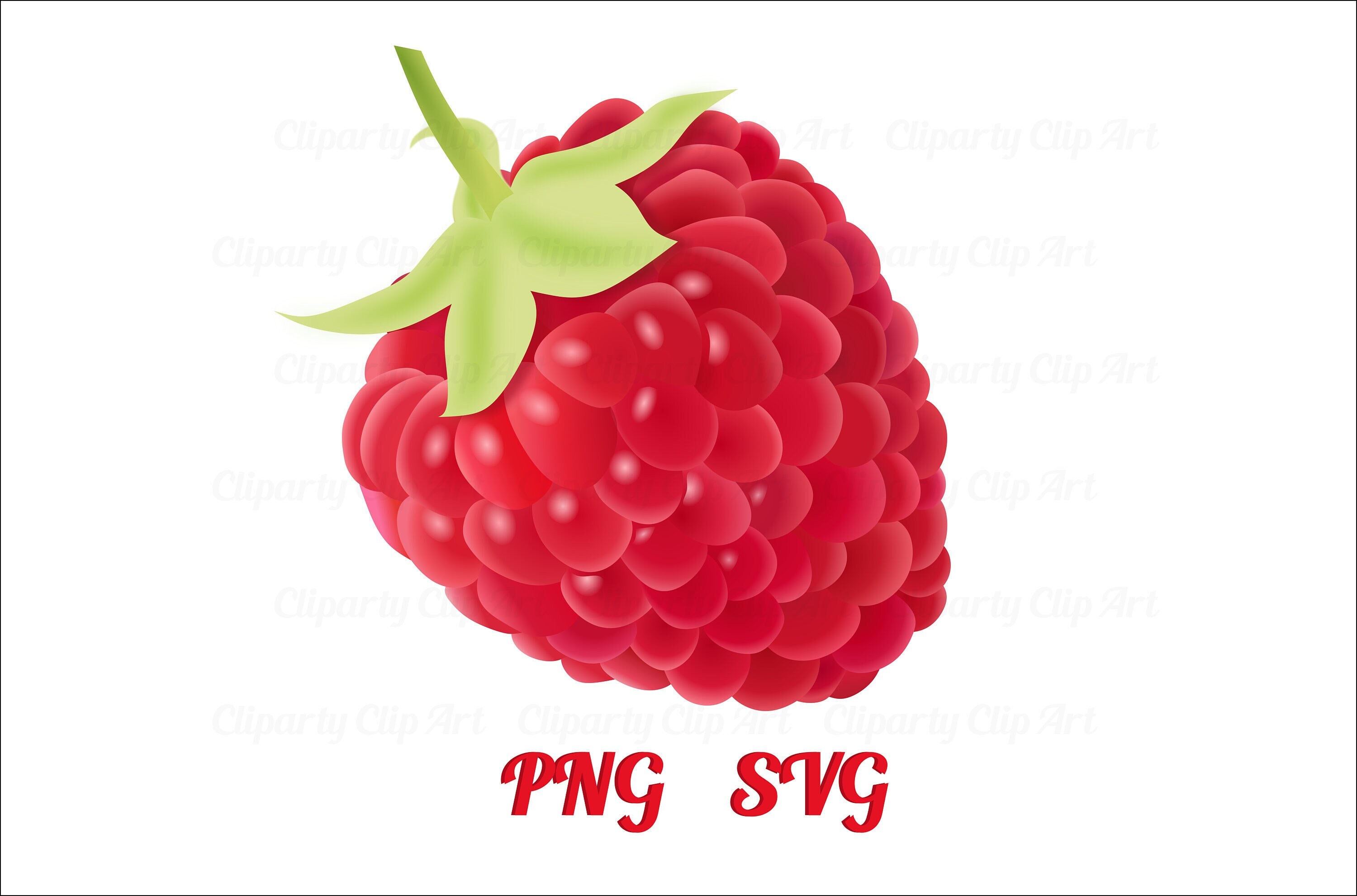 Raspberry Clip Art PNG SVG - Etsy