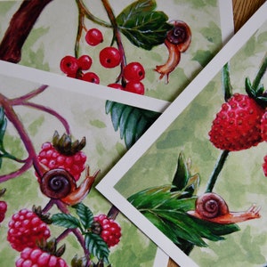 Bramble the Snail | 5x5 Fine Art Print Set | Fairytale Series - Etsy