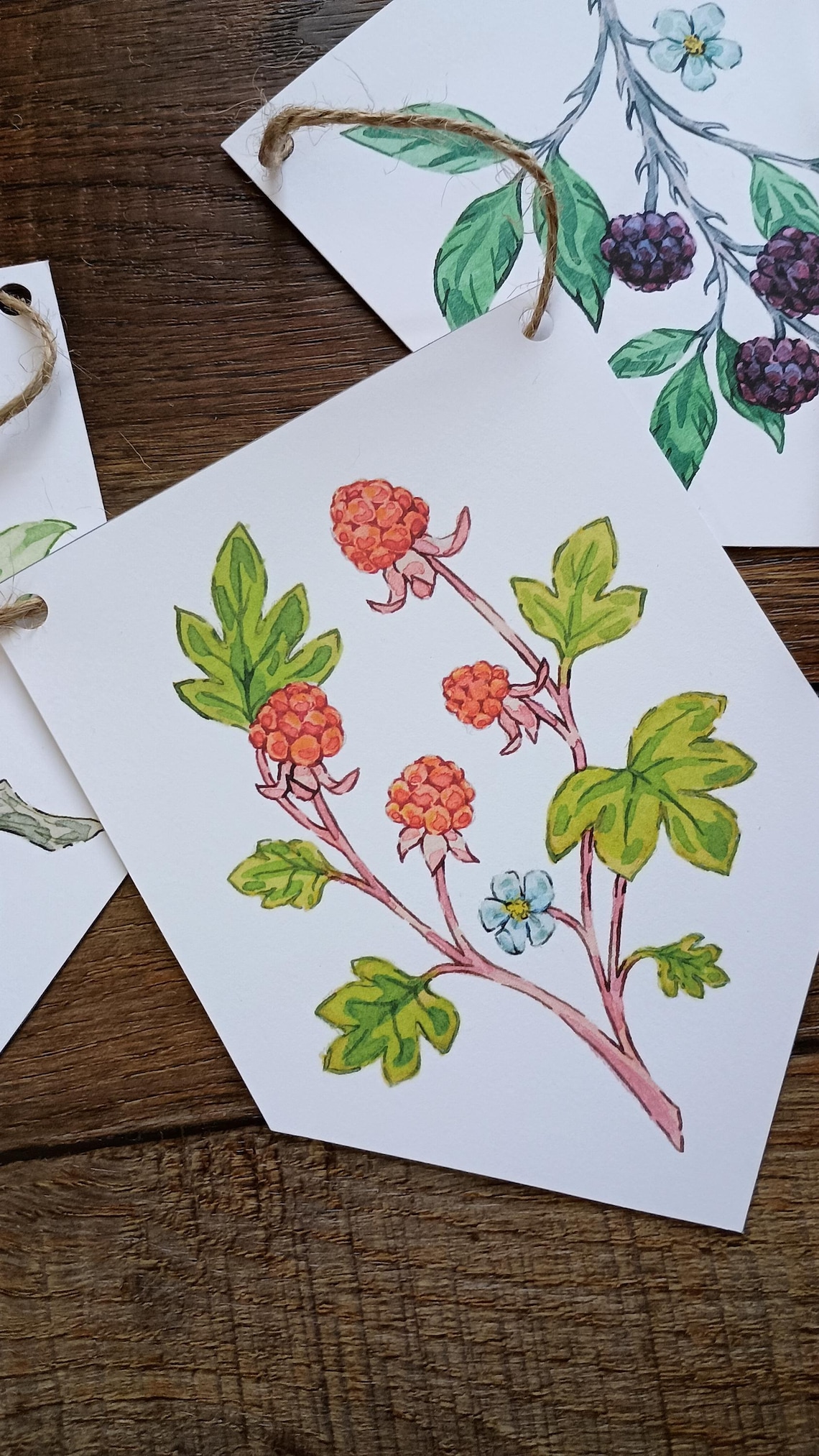 Bramble Berries Garland - Botanical Bunting Paper Wall Hanging ...