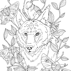 night elf coloring page