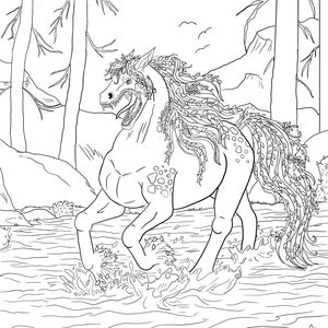 bella sara horses coloring pages