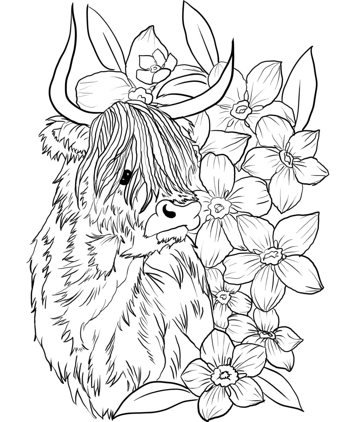Highland Cow Downloadable Coloring Page Digital Drawings Highland Cow Downloadable Coloring Page Digital Drawings