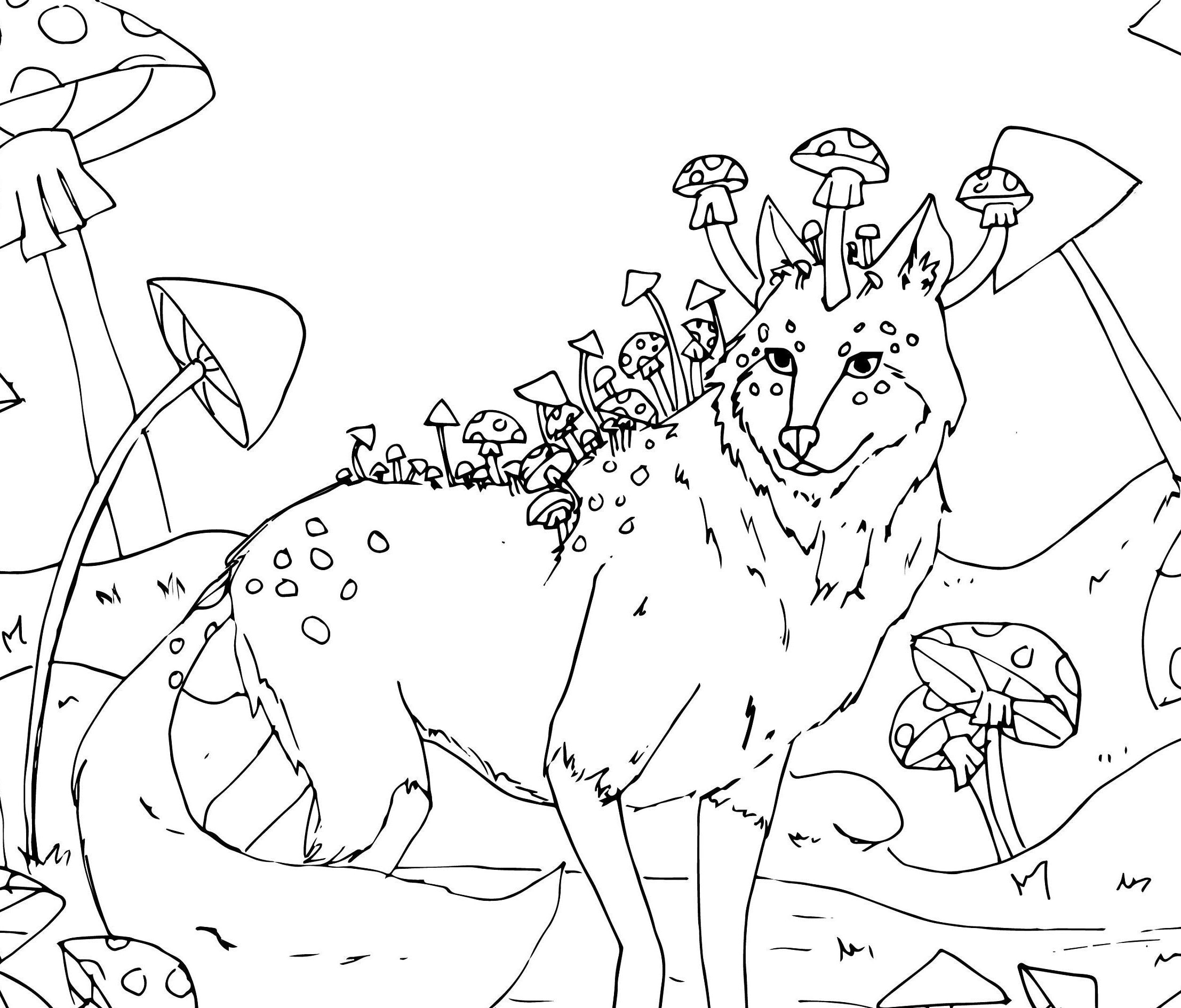 Wolf Fighting Coloring Pages