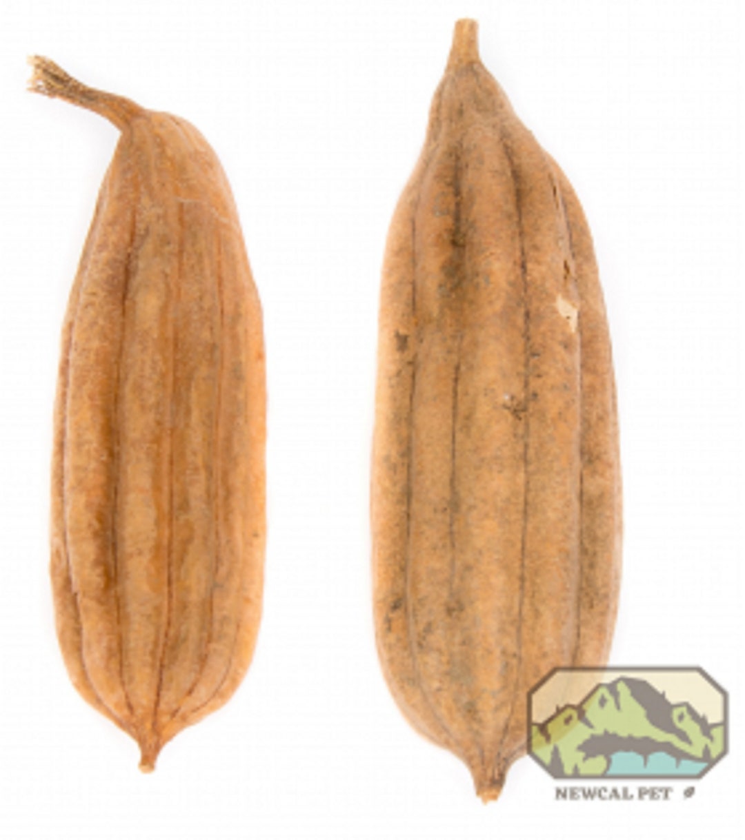 Jhinga Pod - Beautiful Look Pods - Natural Dried Fruit and Seed Pods ...