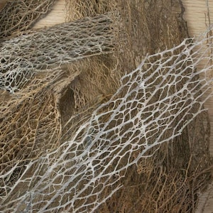 Cholla Latice Lace - Perfect for Bioactive Vivariums and Shrimp Tanks ...